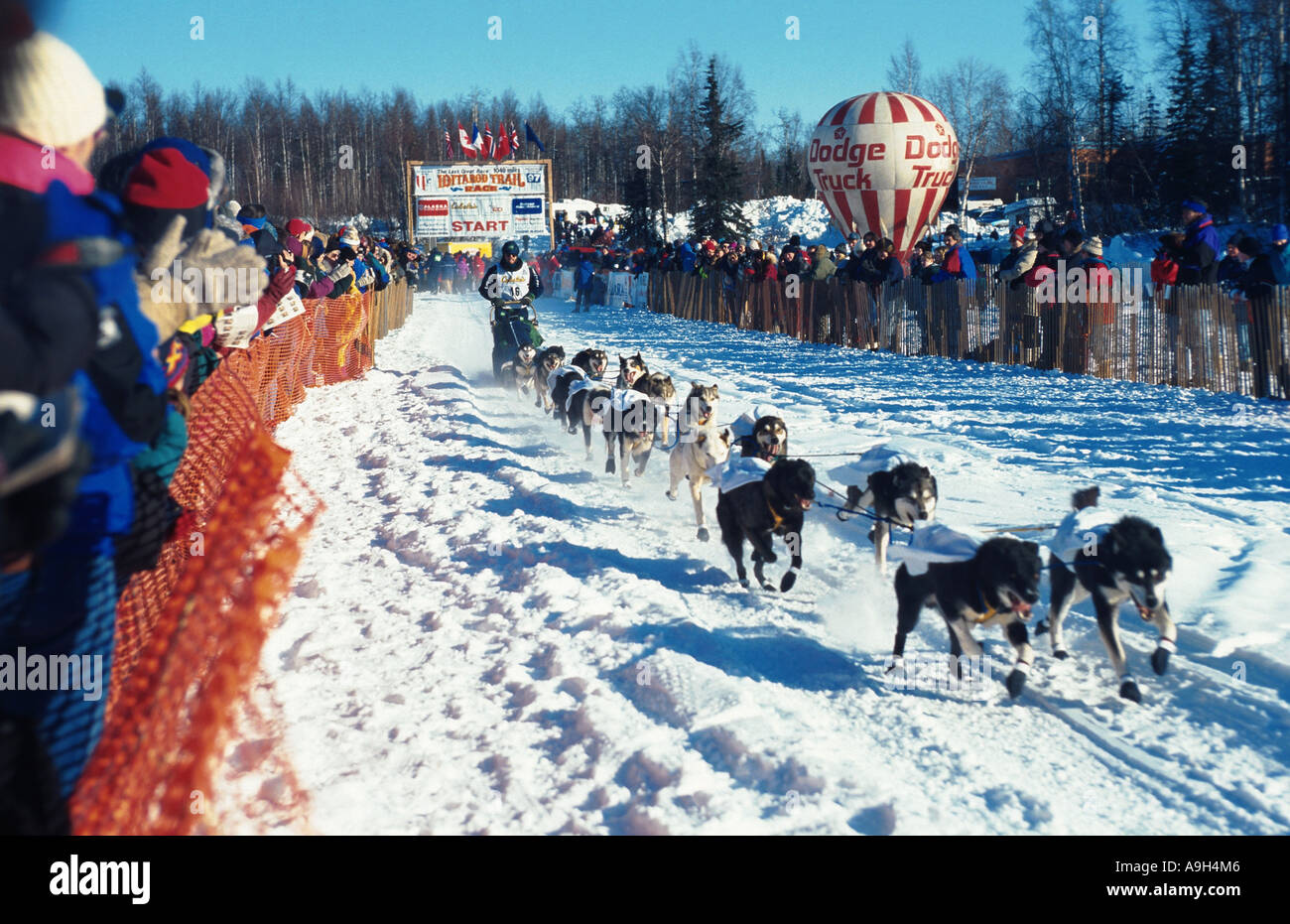 Iditarod sleddograce hi-res stock photography and images - Alamy