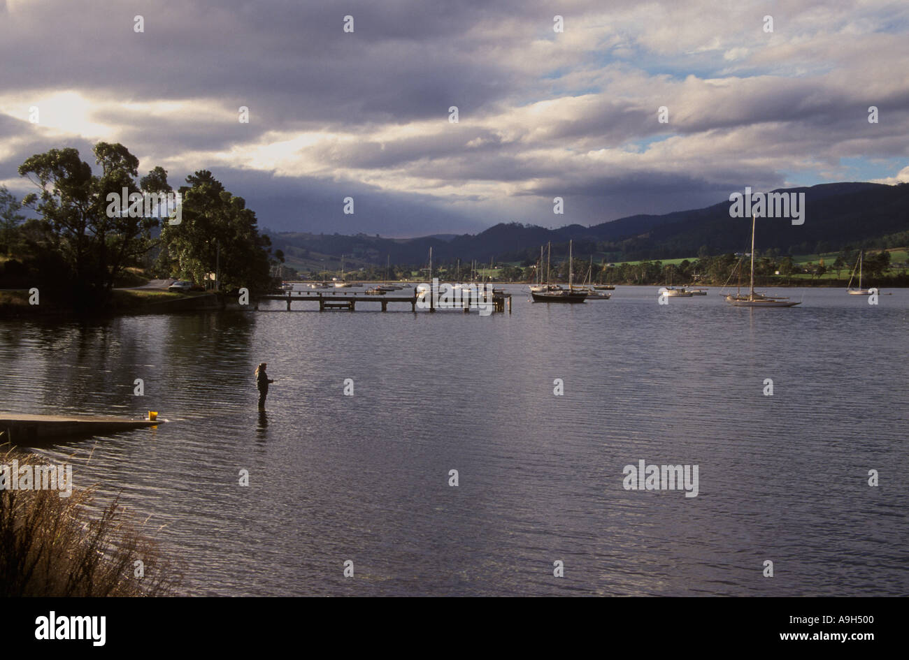 Cygnet bay tasmania hi-res stock photography and images - Alamy