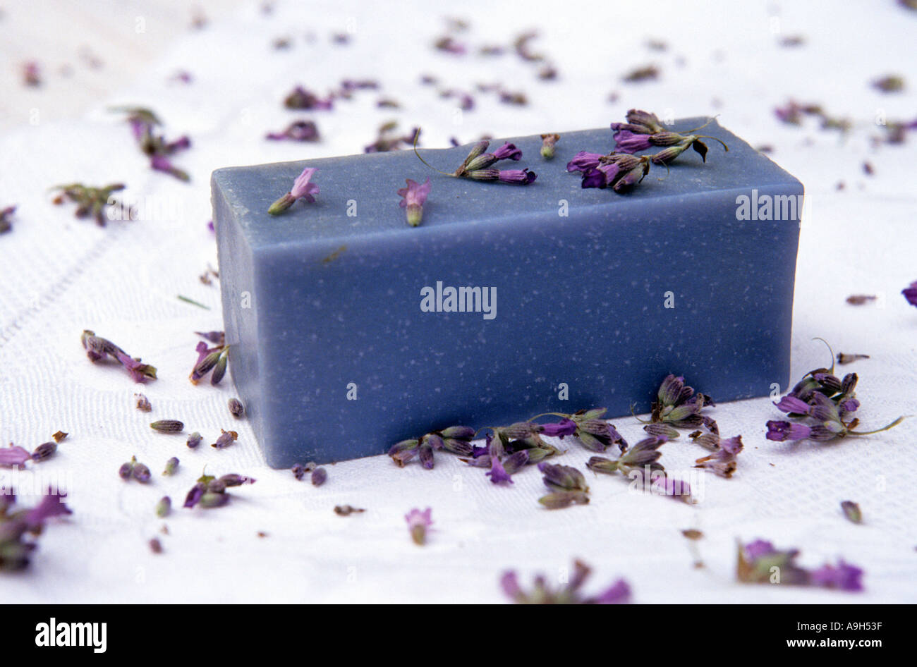 Hand made lavender soap by The Celtic Herbal Co Stock Photo - Alamy