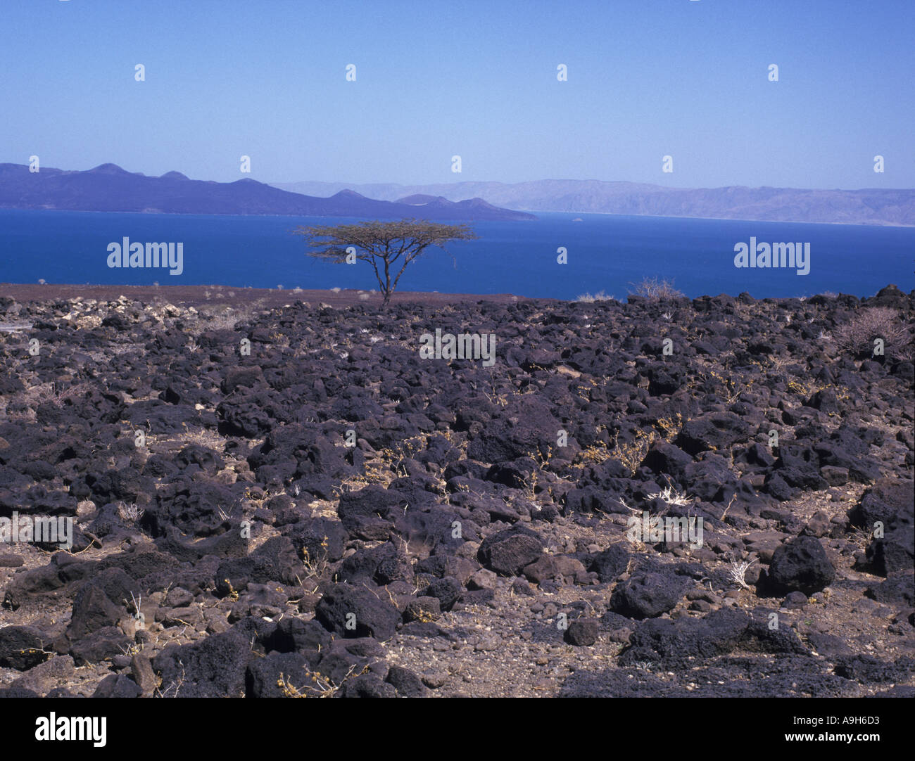 Lakes Abroad View of the southern end of Lake Turkana Kenya Stock Photo ...