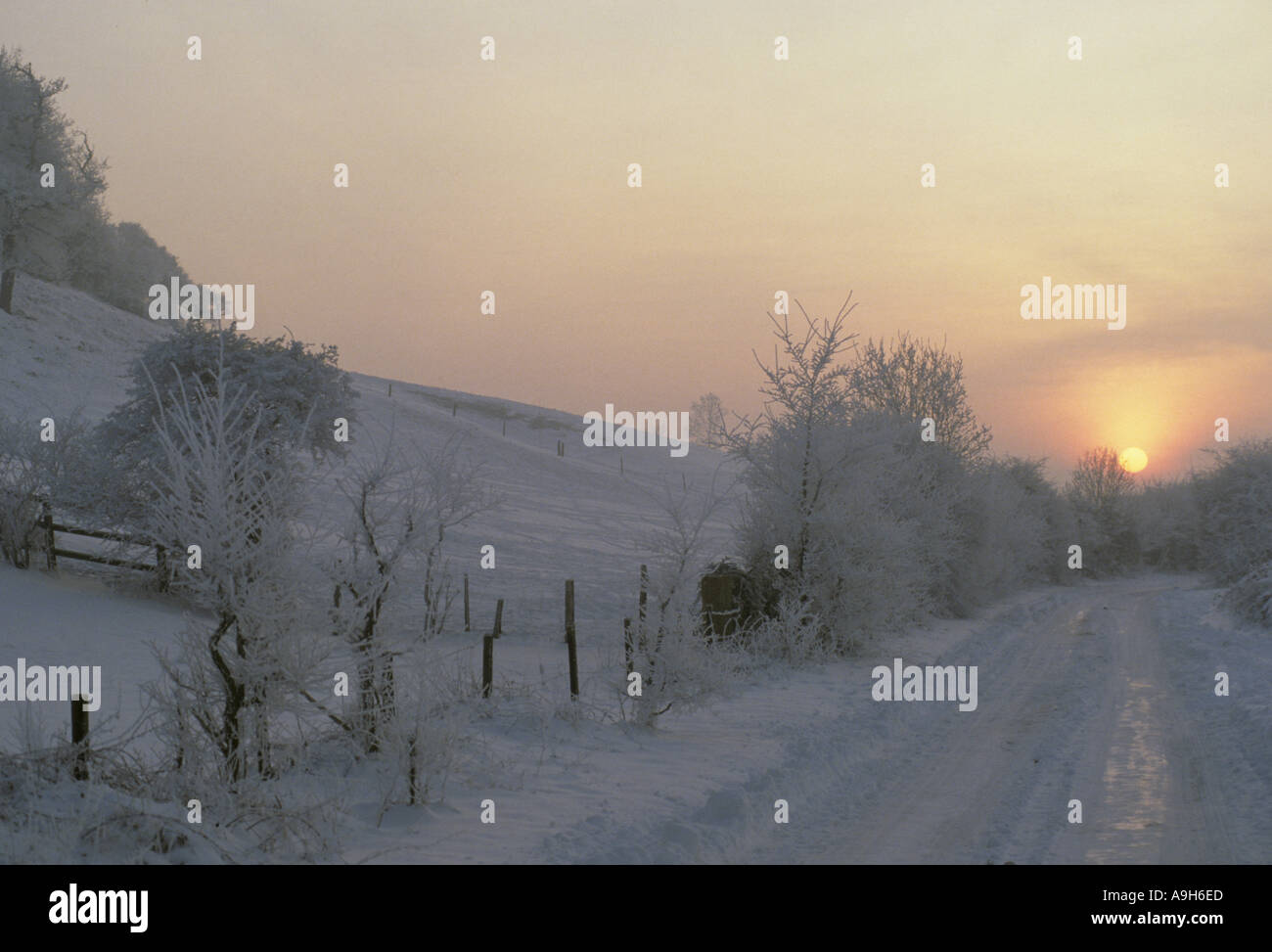 Country country lane hi-res stock photography and images - Alamy