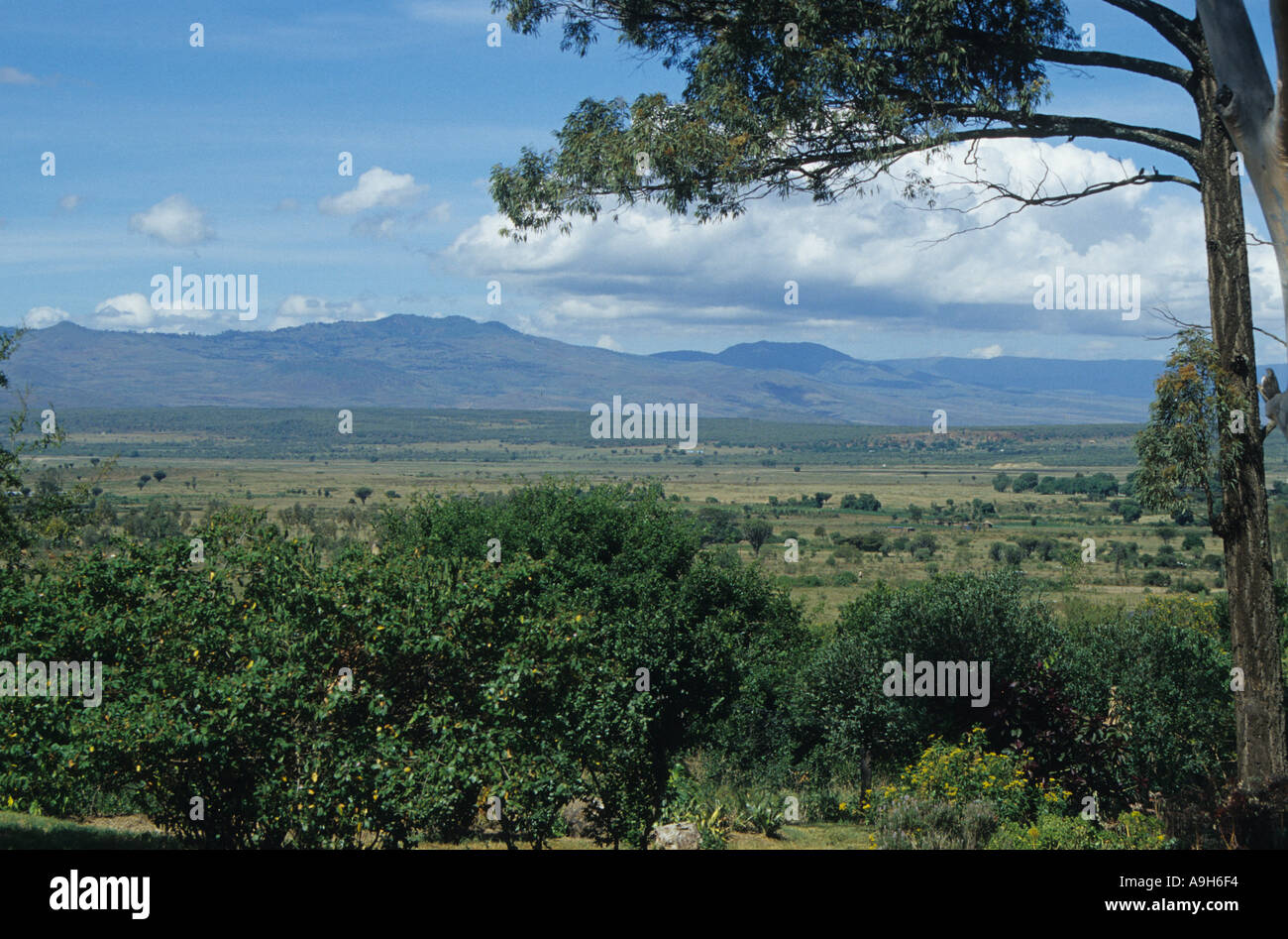Kenya Eburru Mountain part of western wall of Rift Valley Central Kenya ...
