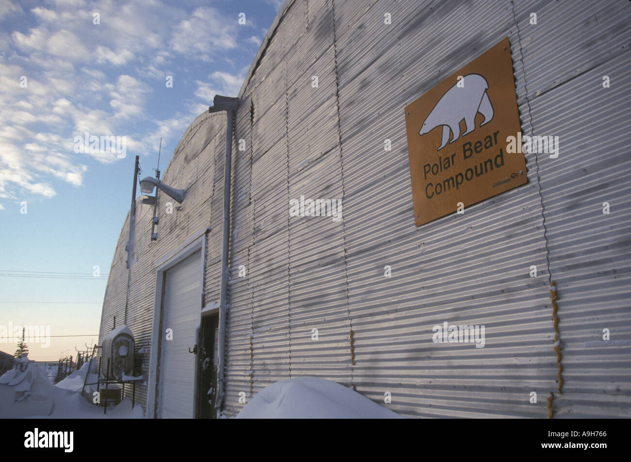 Mammal Conservation Polar Bear Jail Churchill Manitoba Canada Stock ...