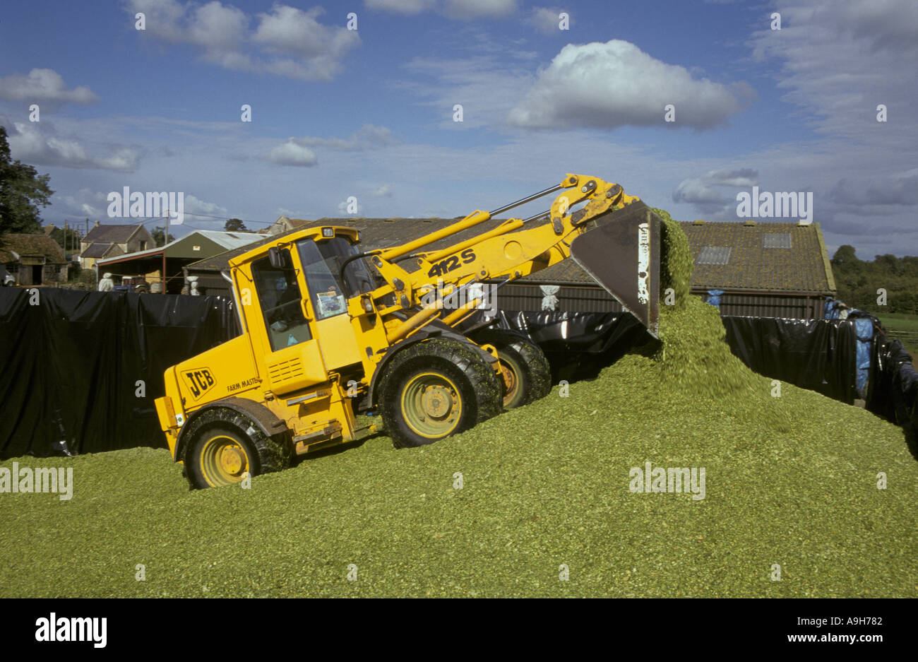 Stacking cows hi-res stock photography and images - Alamy