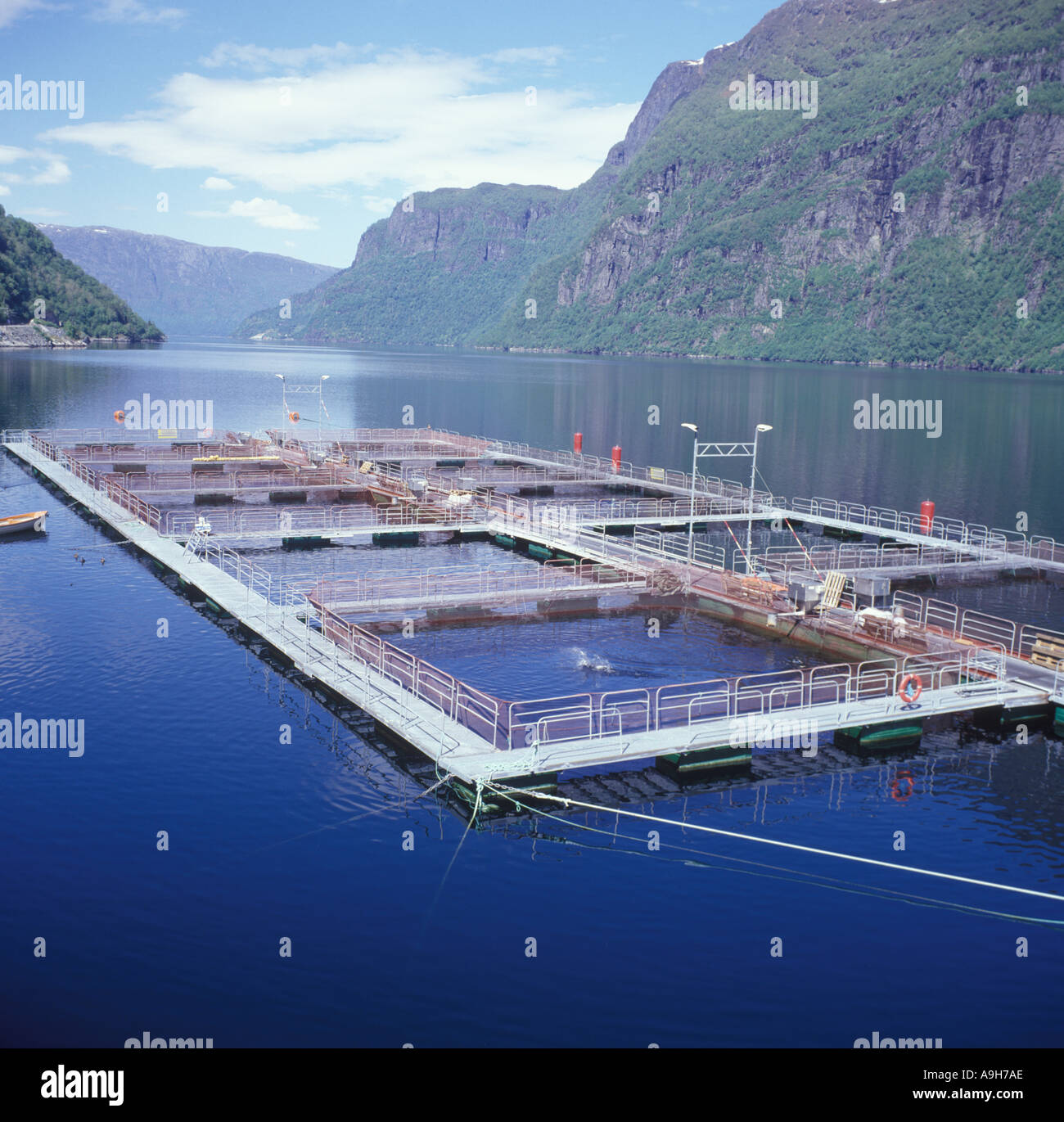 Farming Fishing View of Salmon Fish Farm Hyenfjorden Norway Stock Photo ...