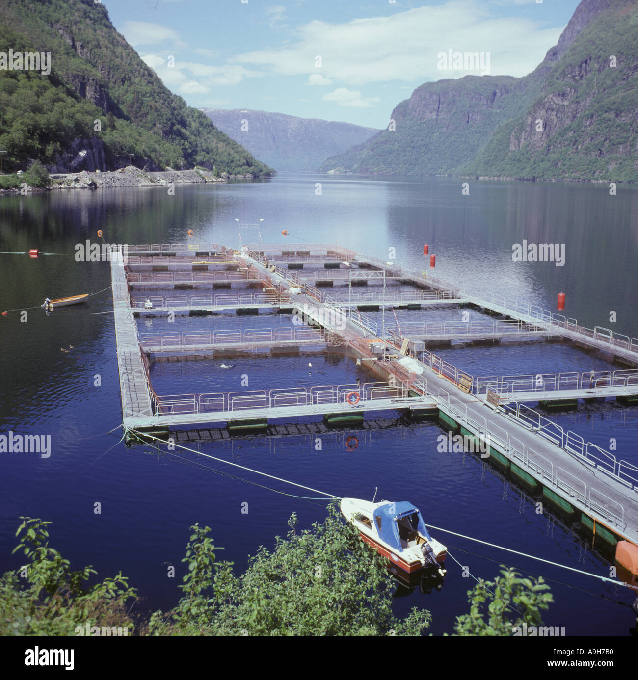 Farming Fish Group of cages Salmon farm Hyenfjorden Norway Stock Photo ...