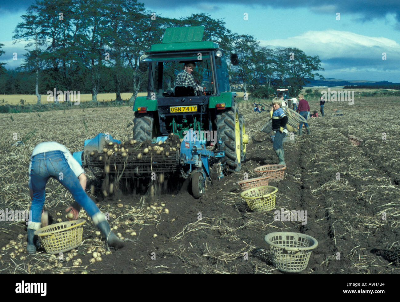 Farming scotland potatoes hi-res stock photography and images - Alamy