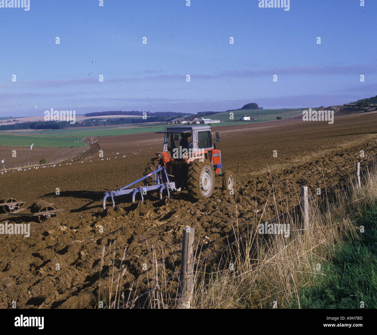 Farming Ploughing Tractor with 3 furrow plough Autumn South Downs ...