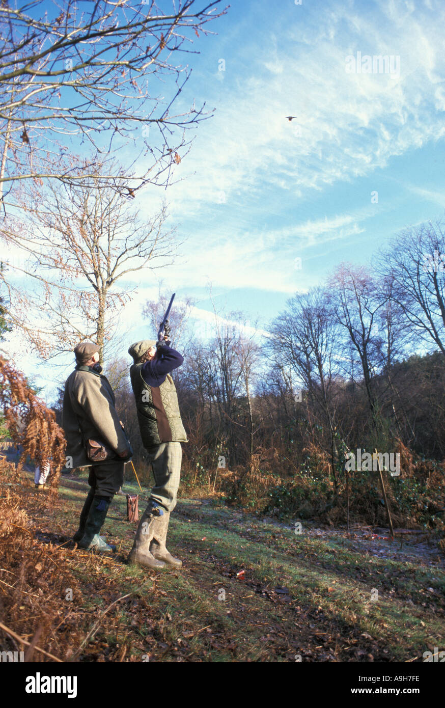 Hunting Two men standing one with gun in action pheasant flying over ...