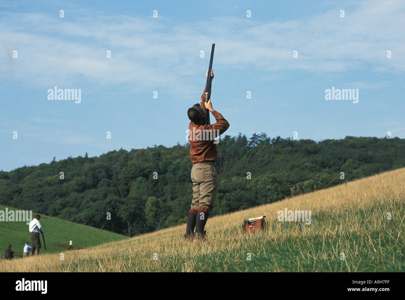 Hunting Partridge shooting on Downland Stock Photo - Alamy