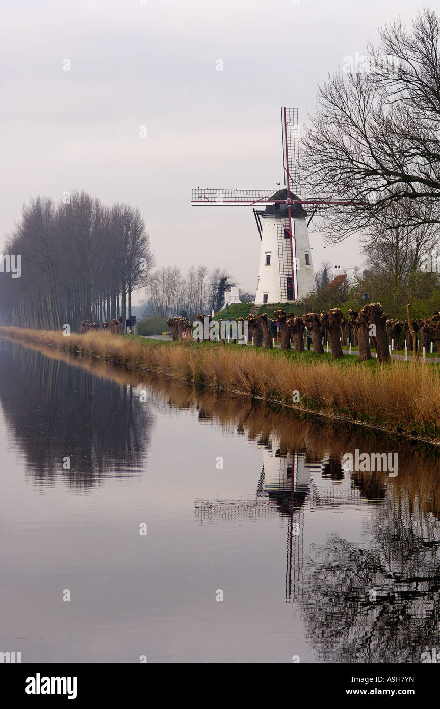 Windmill and trees by the canal in Damme near Bruges Belgium Stock ...