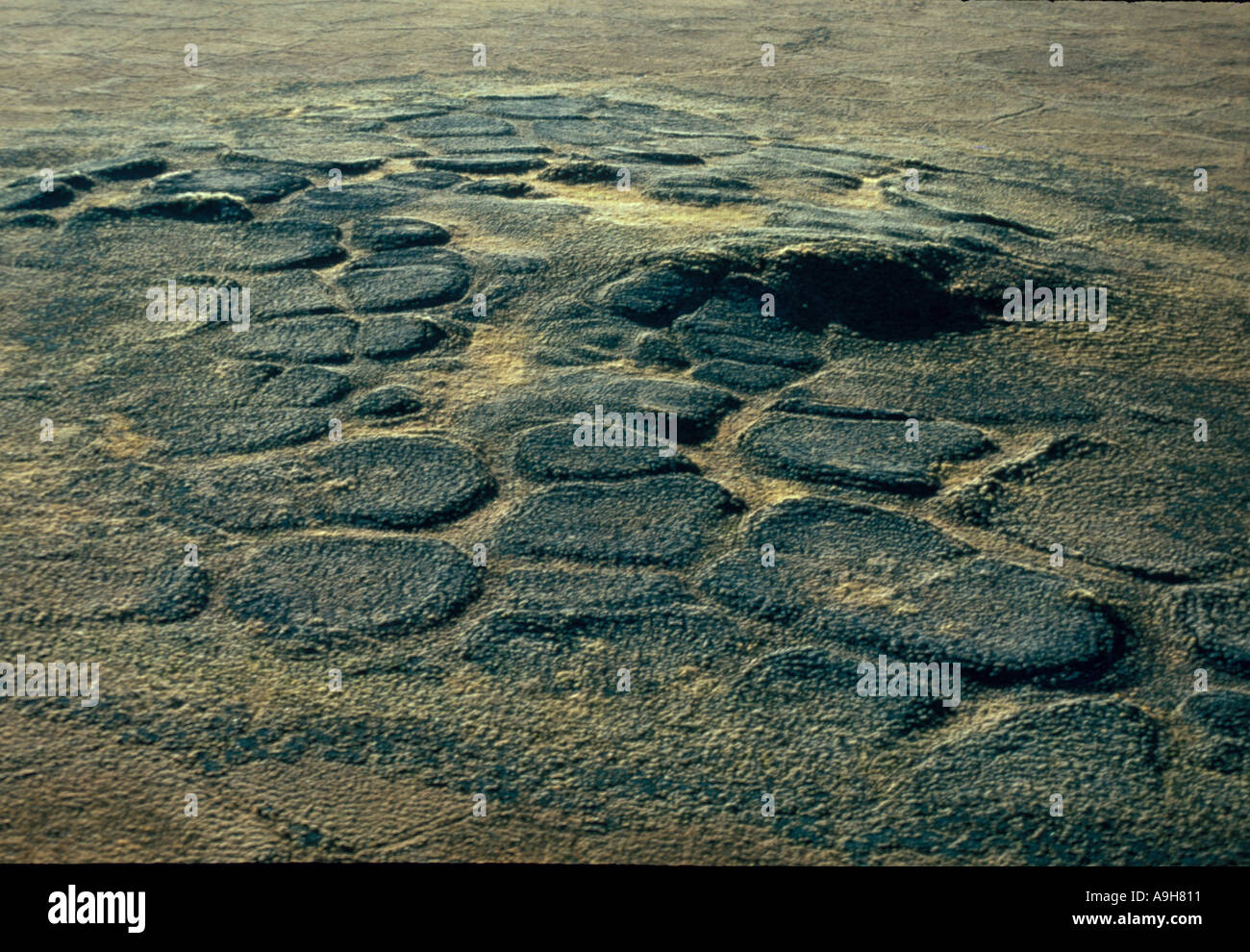 Permafrost An ancient pingo with polygonal forms in permafrost zone of ...