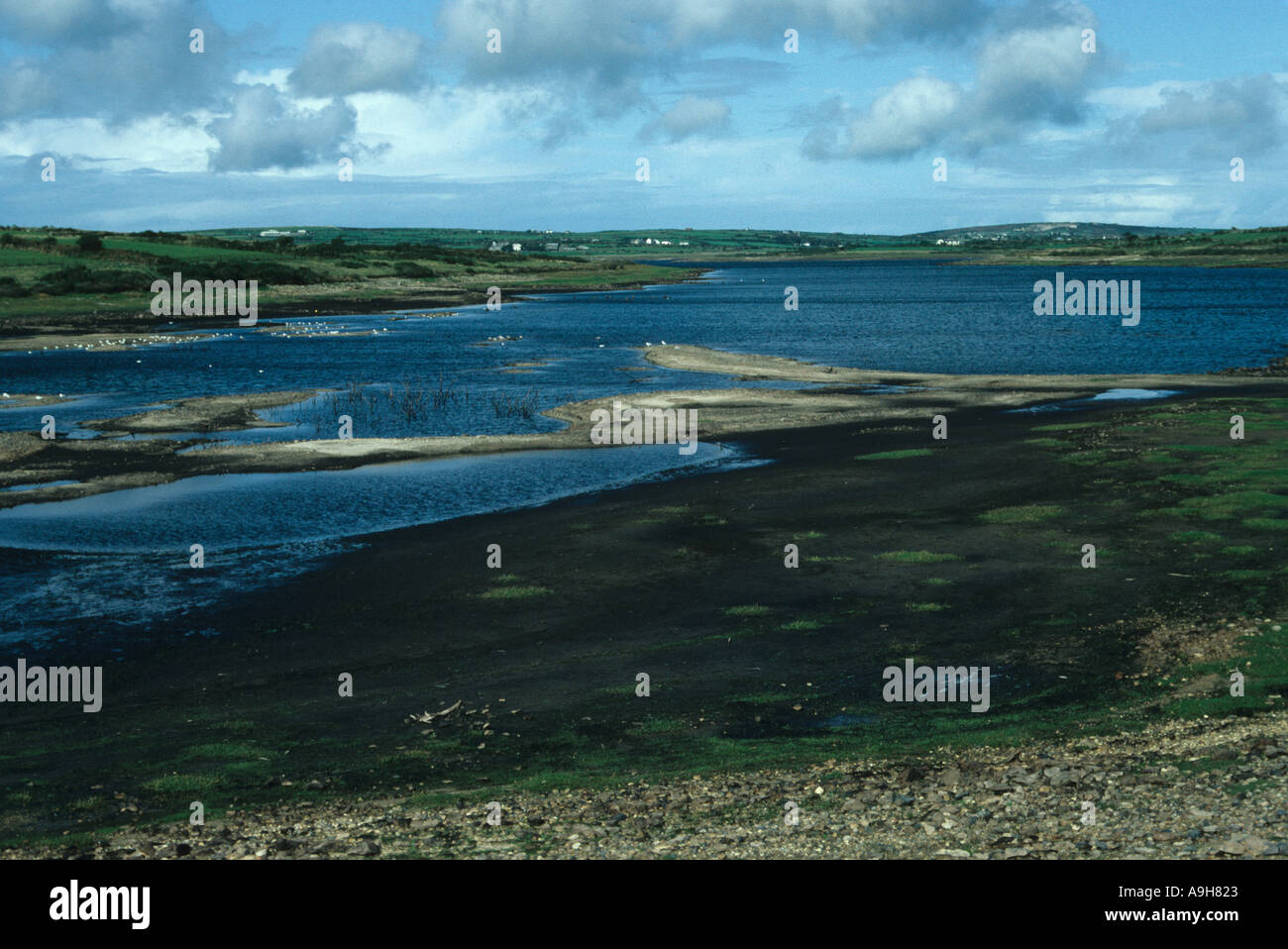 Stithians reservoir hi-res stock photography and images - Alamy