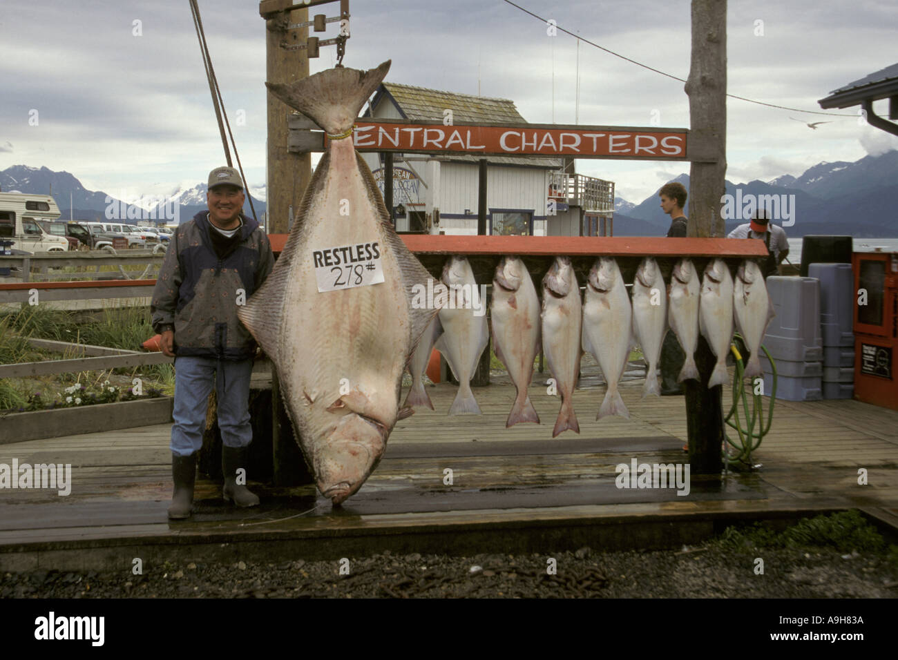 Angling Homer Alaska is Halibut Sport fishing Capital Hippoglossus ...
