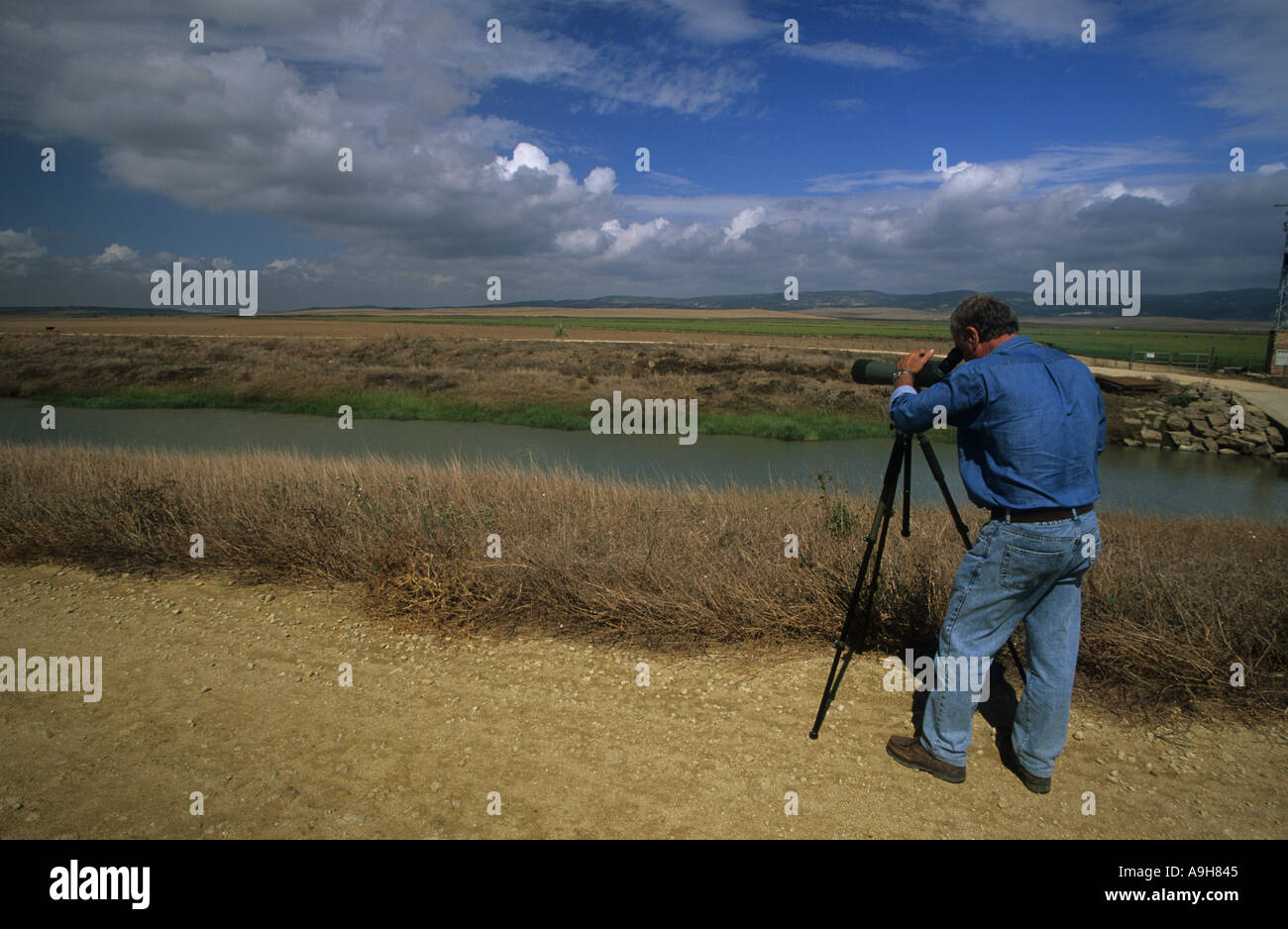 Birdwatching Man birdwatching Taiga Marshes Andalucia Spain Stock Photo ...