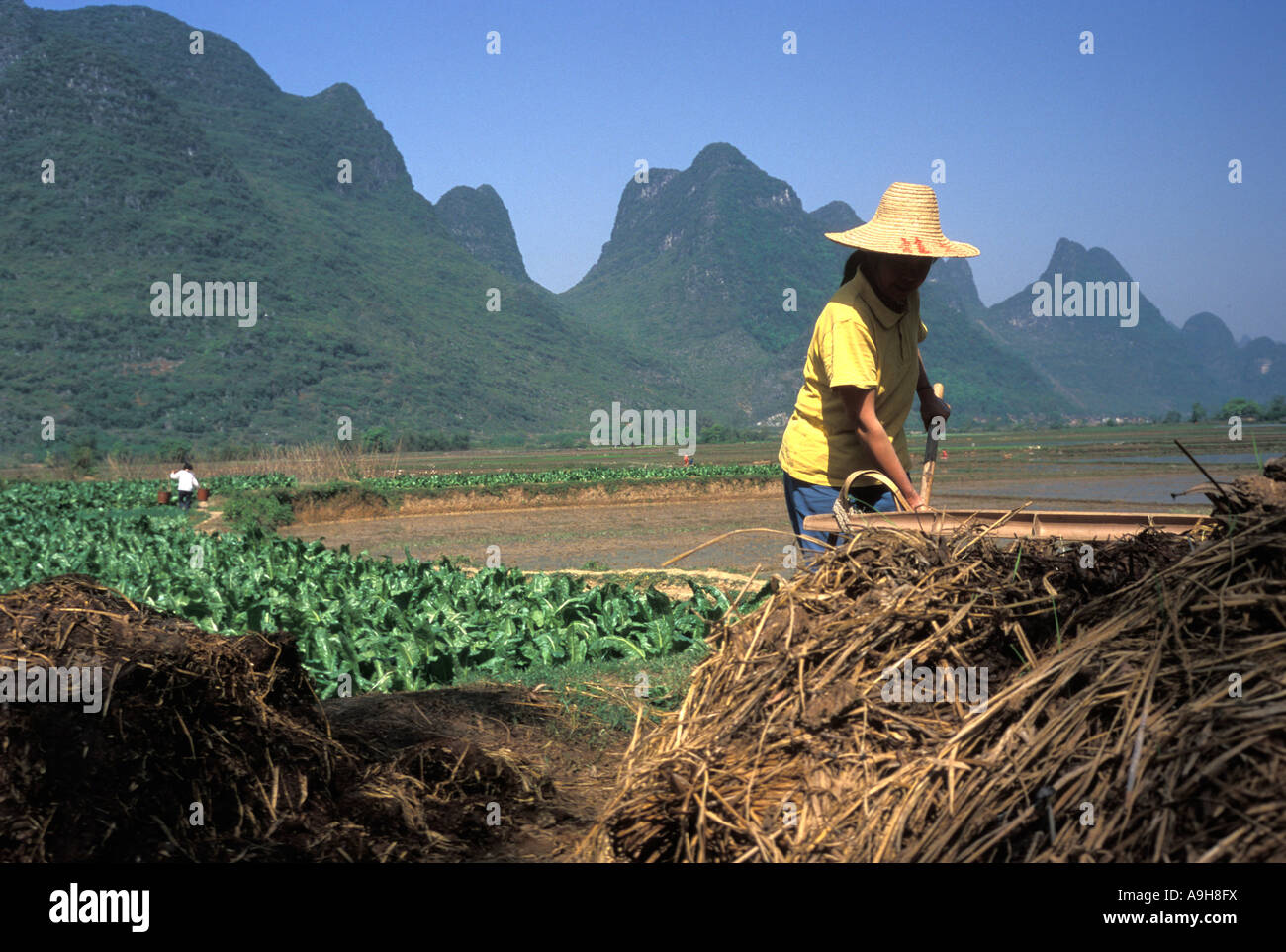 Chinese peasant farm women hi-res stock photography and images - Alamy