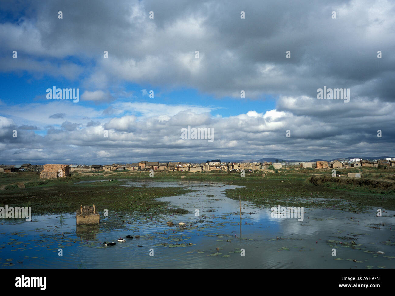 Flooded area of Antananarivo Madagascar 2001 Part of a slum that floods ...