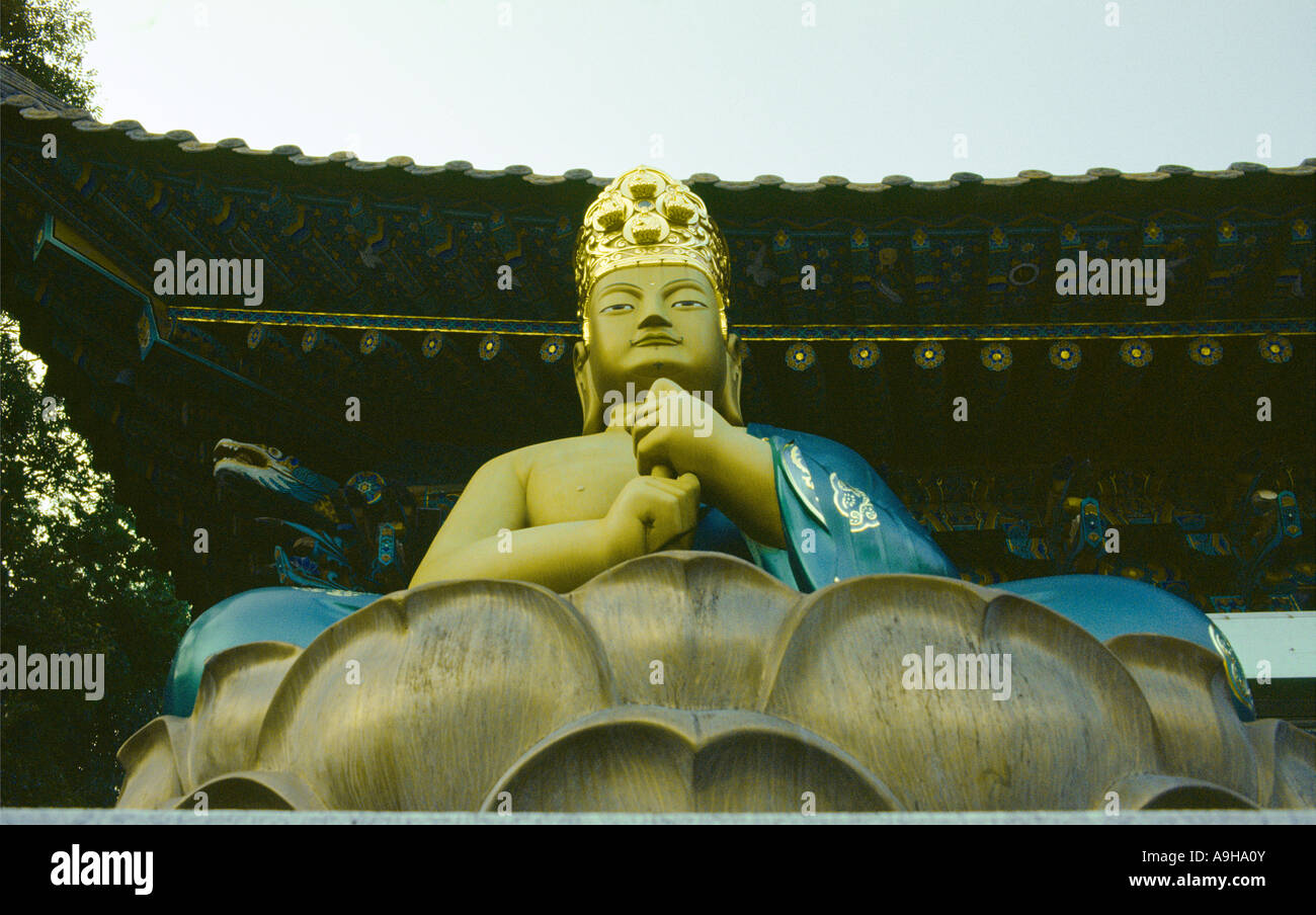 Buddha Statue at Beomosa Busan South Korea Stock Photo - Alamy