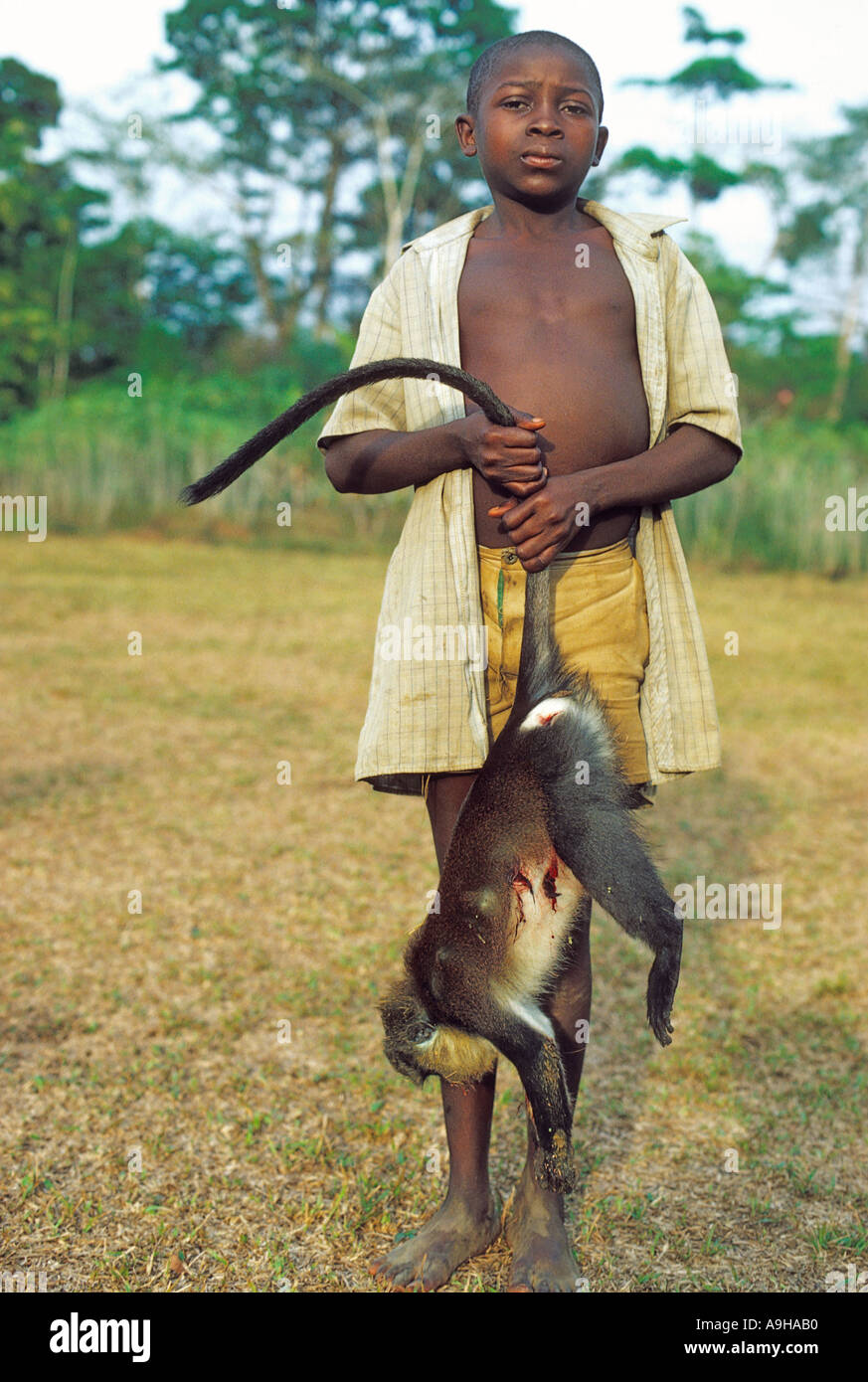 Bushmeat cameroon hi-res stock photography and images - Alamy