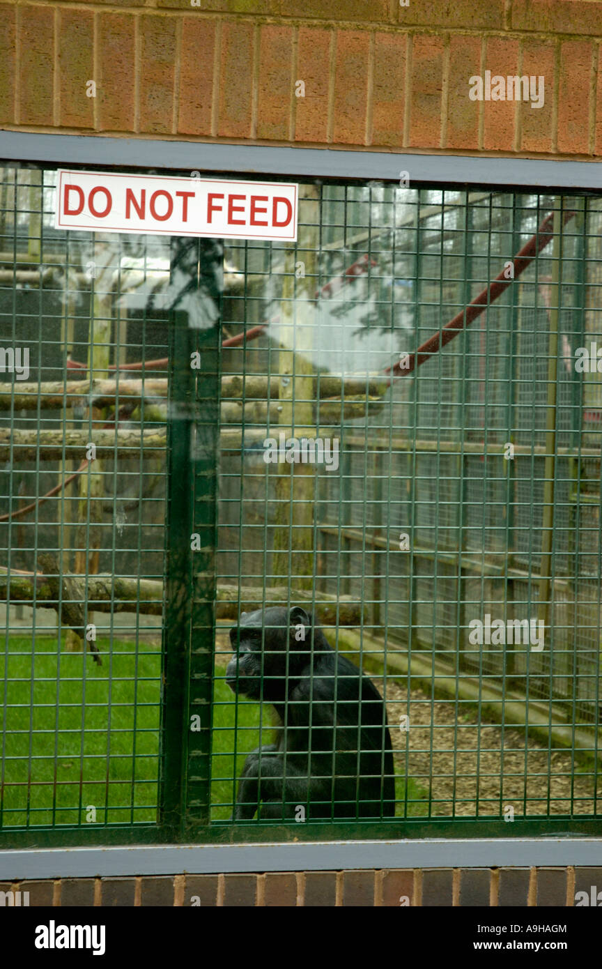 "Do not feed Stock Photo - Alamy