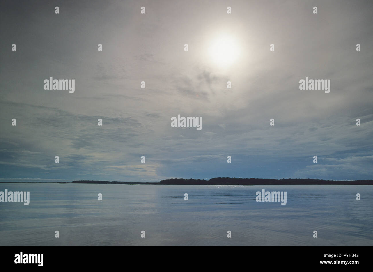 Sun breaking through the mist on the remote Purus River Amazon ...