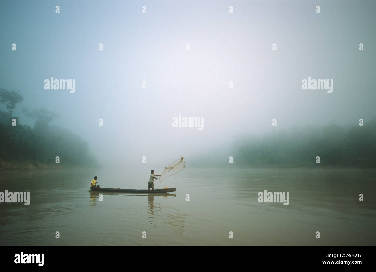 cast net fishing on the remote Purus River in the Amazon rainforest ...