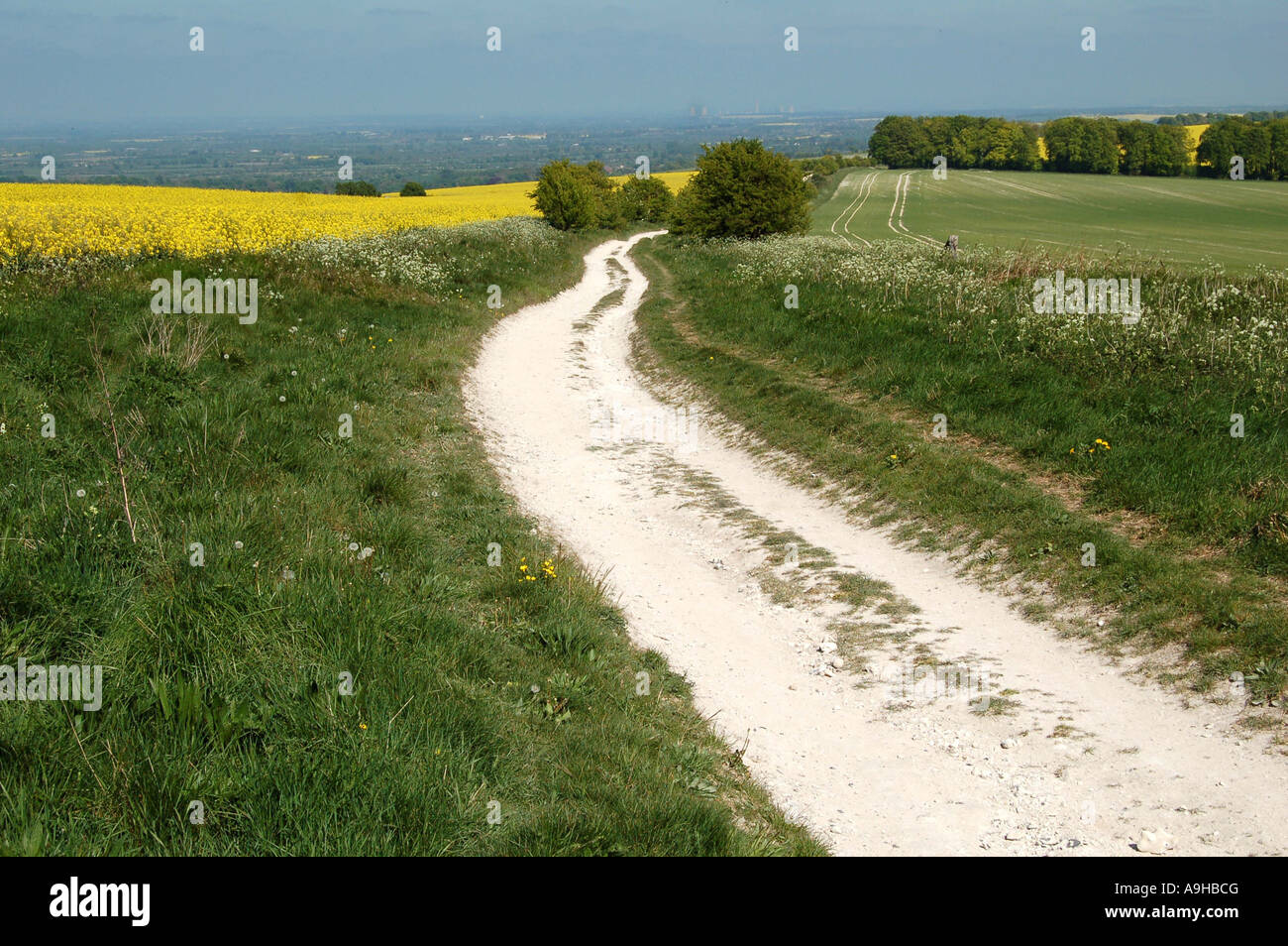 The Ridgeway Cycle and Walking path,Oxfordshire, above the Uffington ...