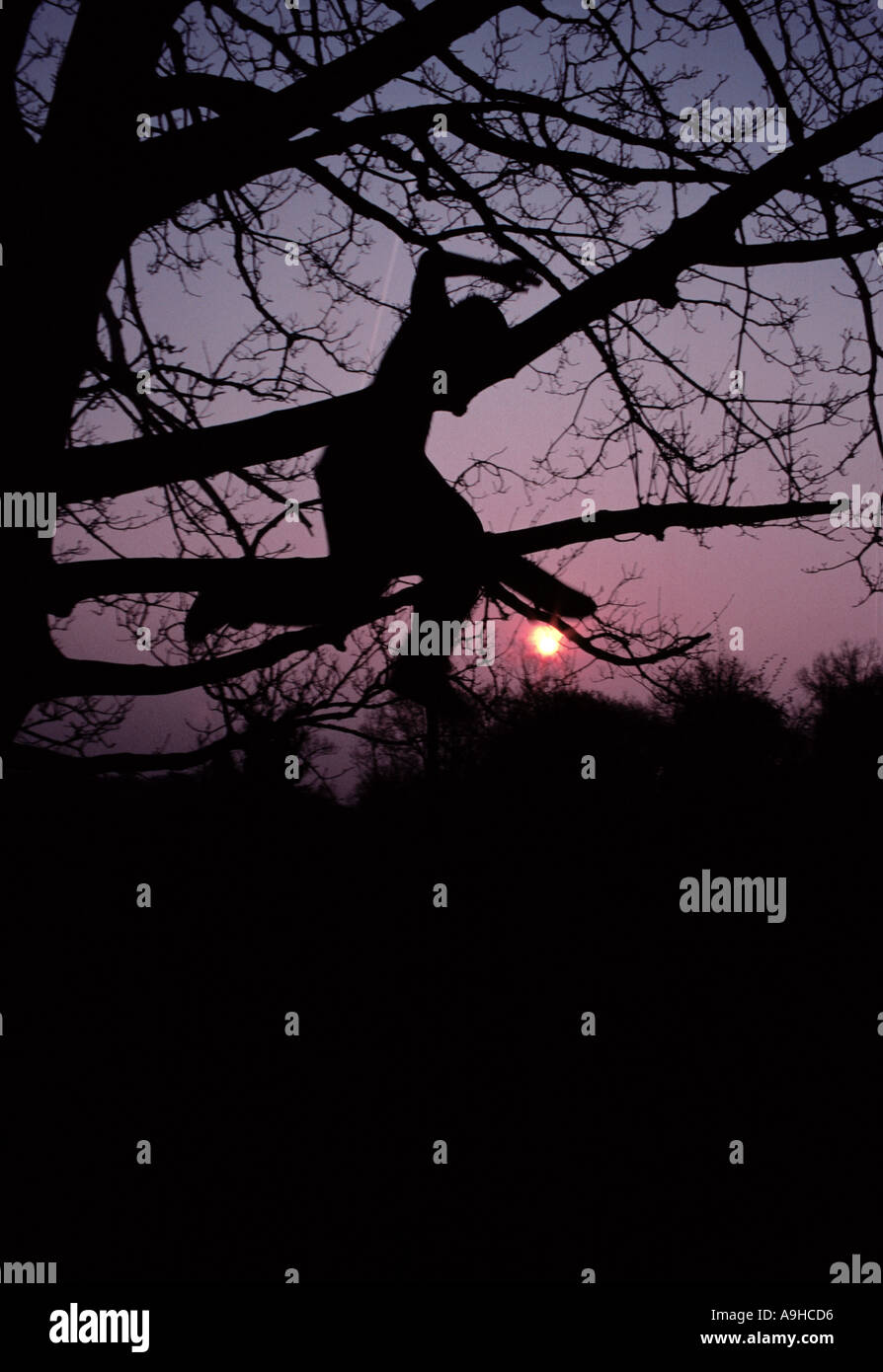 Silhouette of figure hi-res stock photography and images - Alamy