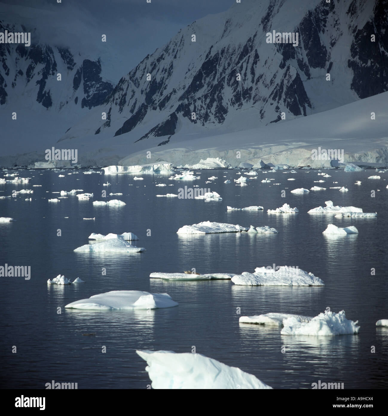 Antarctica, evening light over icy landscape in the Gerlache-Strait ...