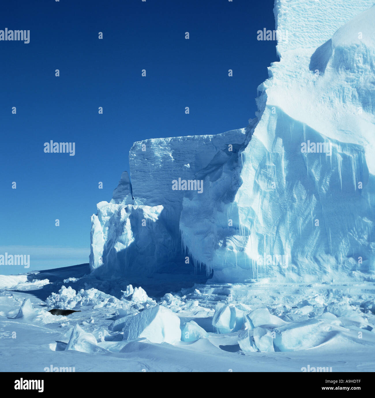 Antarctica, ice, iceberg and fast-ice, Antarctica Stock Photo - Alamy