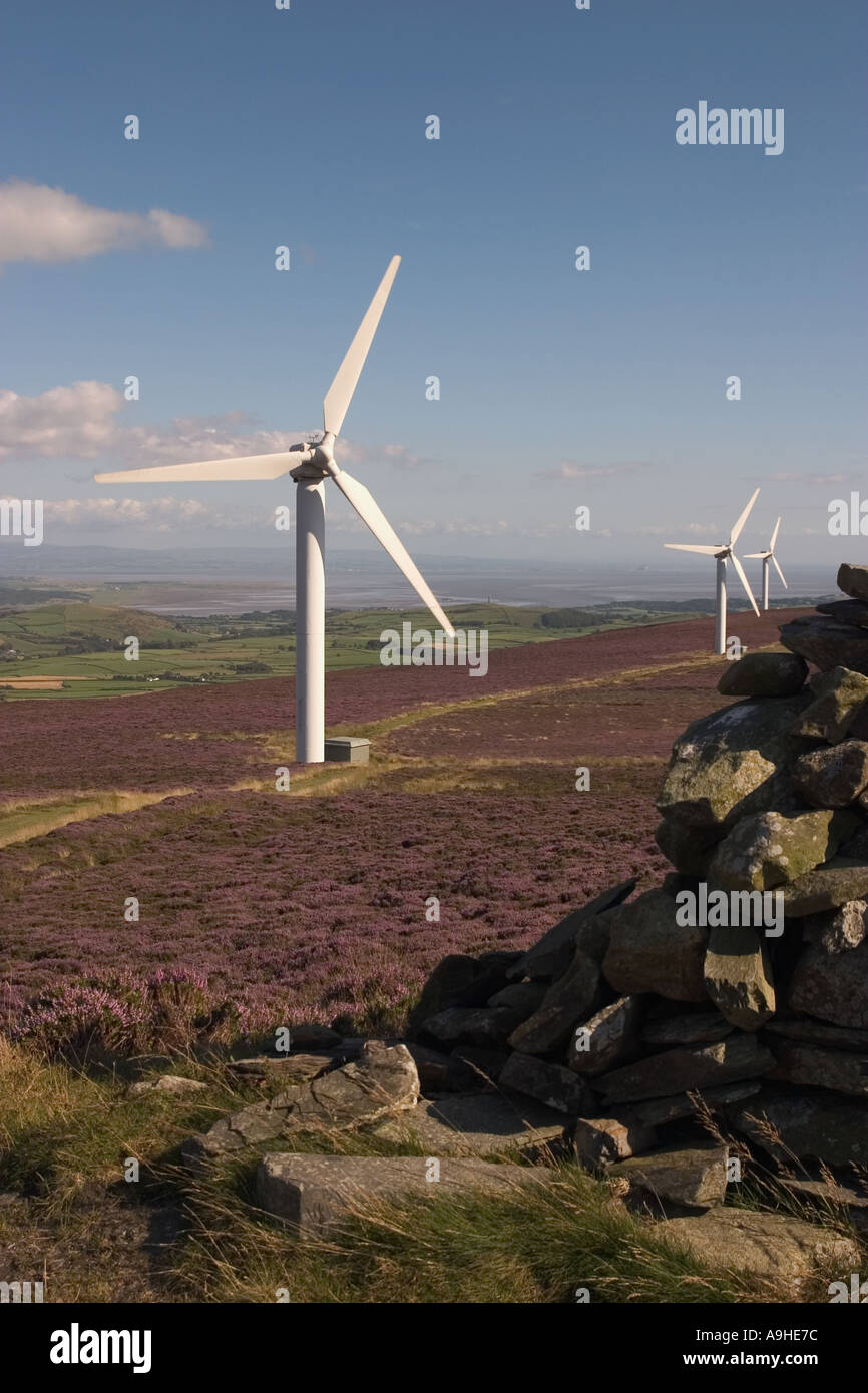 Wind power turbines producing electricity for part of Cumbria at Kirkby ...