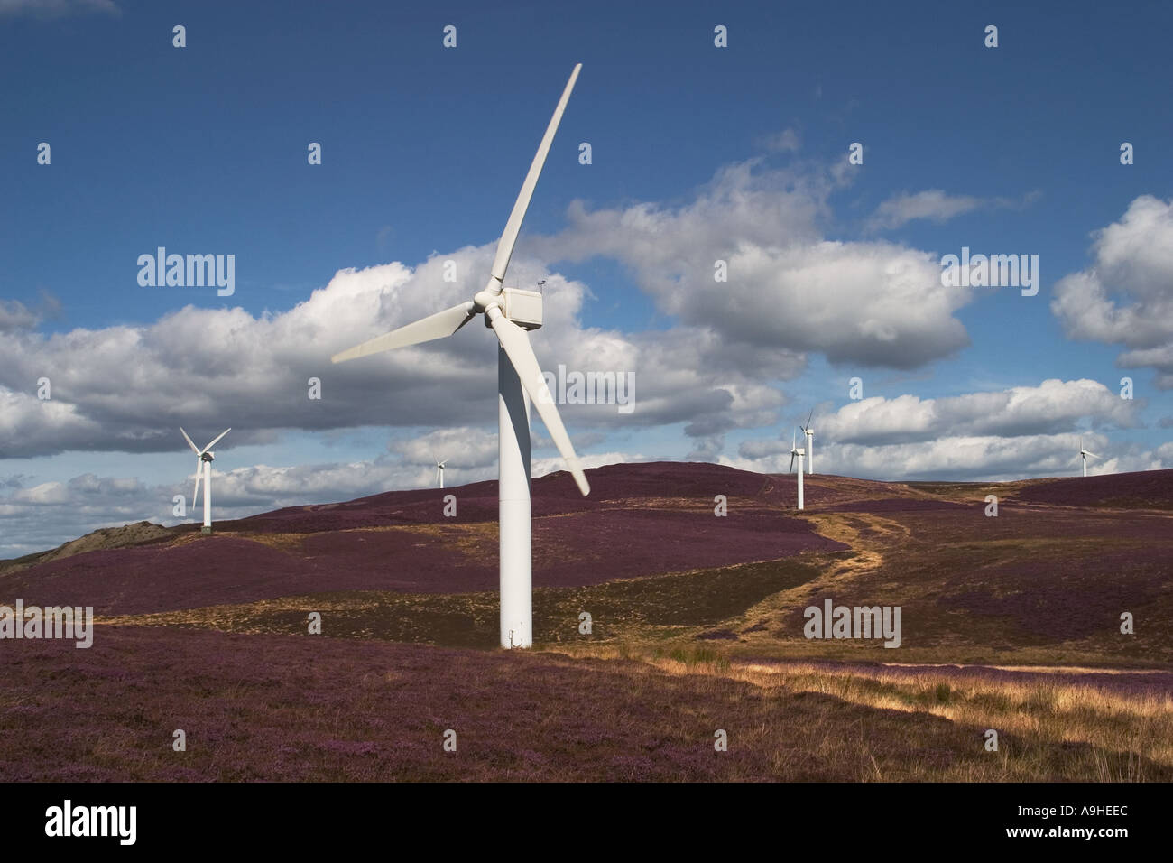 Wind power turbines producing electricity for part of Cumbria at Kirkby ...