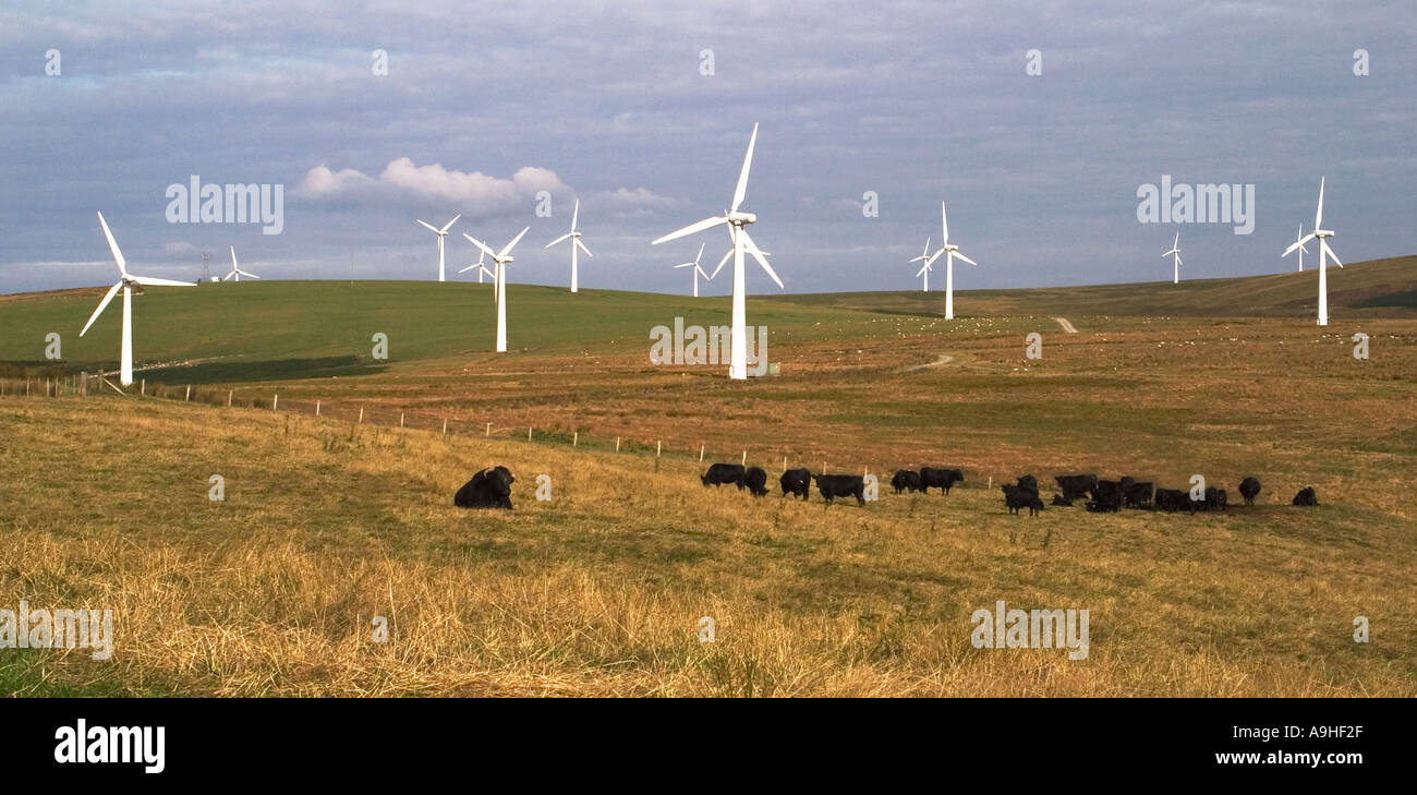 Wind power turbines producing electricity in Mid Wales, UK at Bryn ...