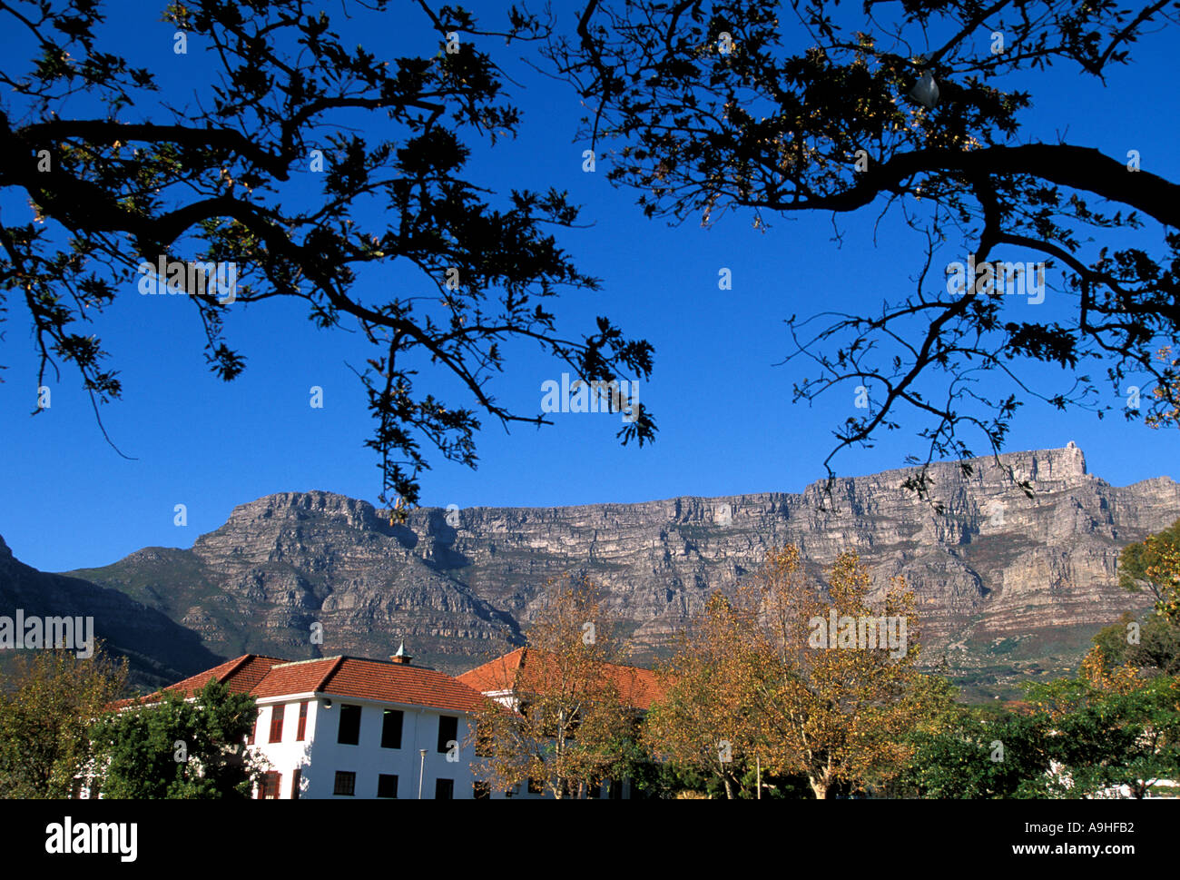 Scenic table mountain hi-res stock photography and images - Alamy