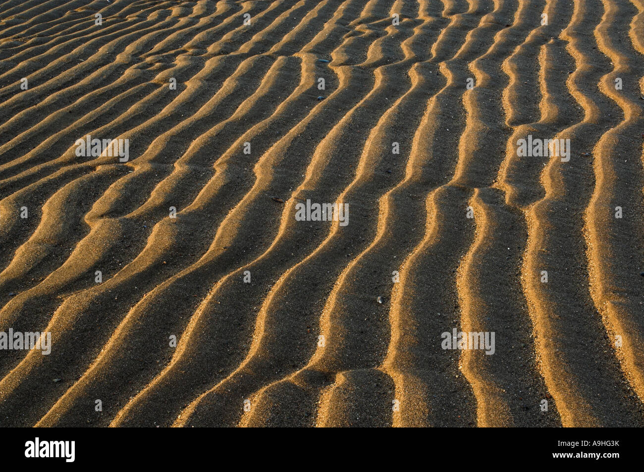 wave patterns in sand on seashore in early morning light Stock Photo ...