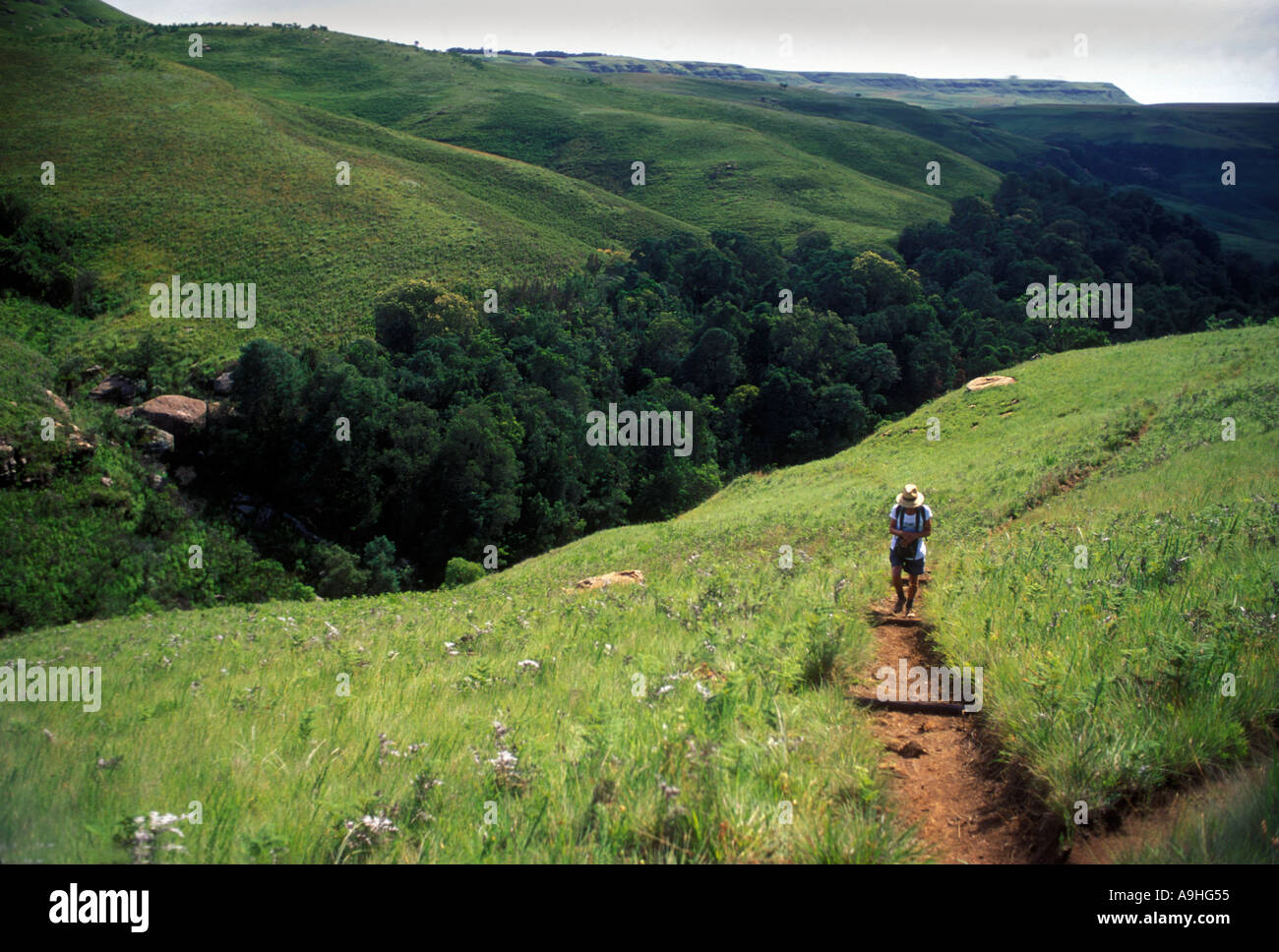 Giants Castle Reserve Central Drakensberg South Africa Stock Photo - Alamy