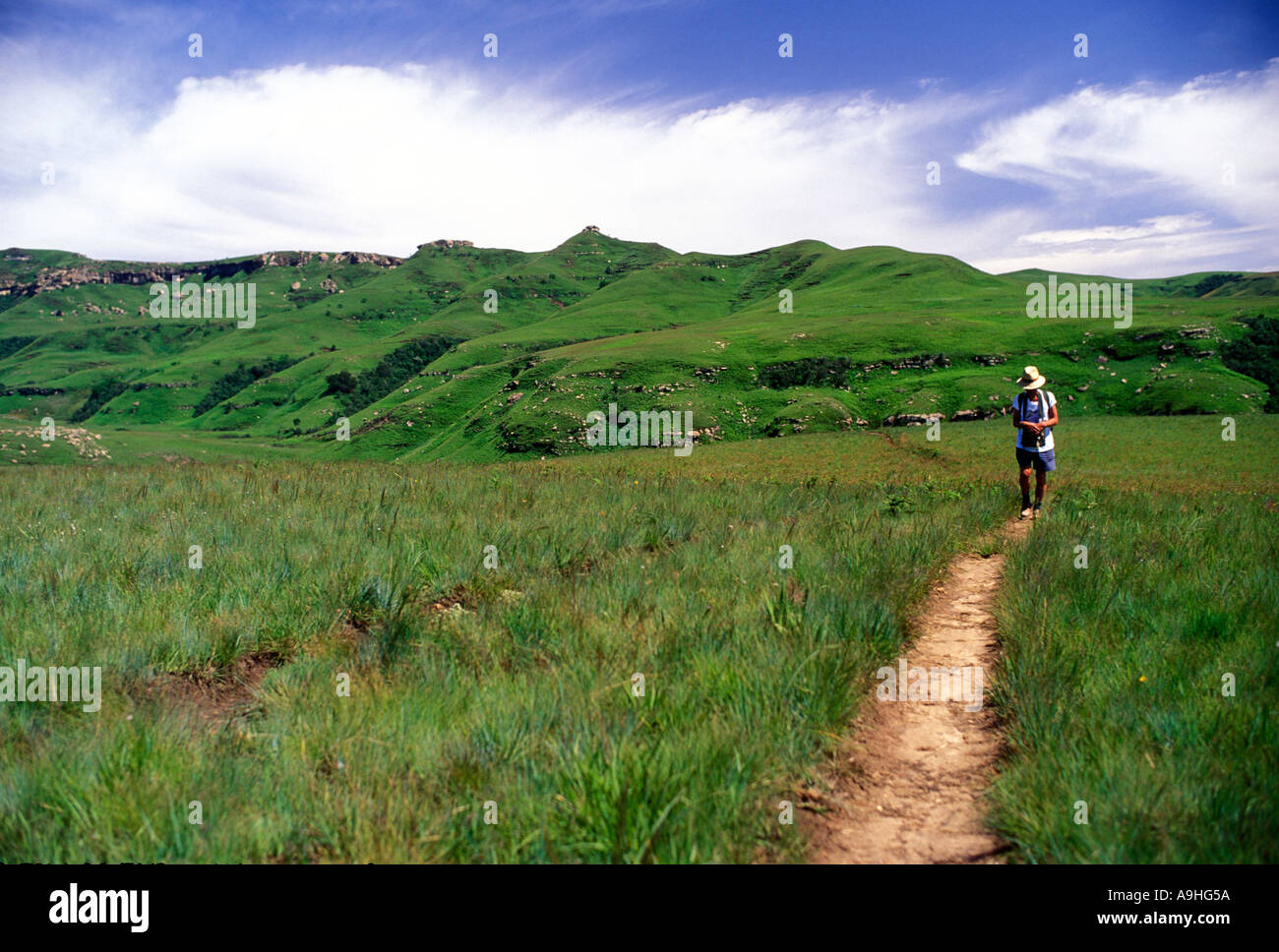 Walking trail in the Giants Castle Reserve Central Drakensberg South ...
