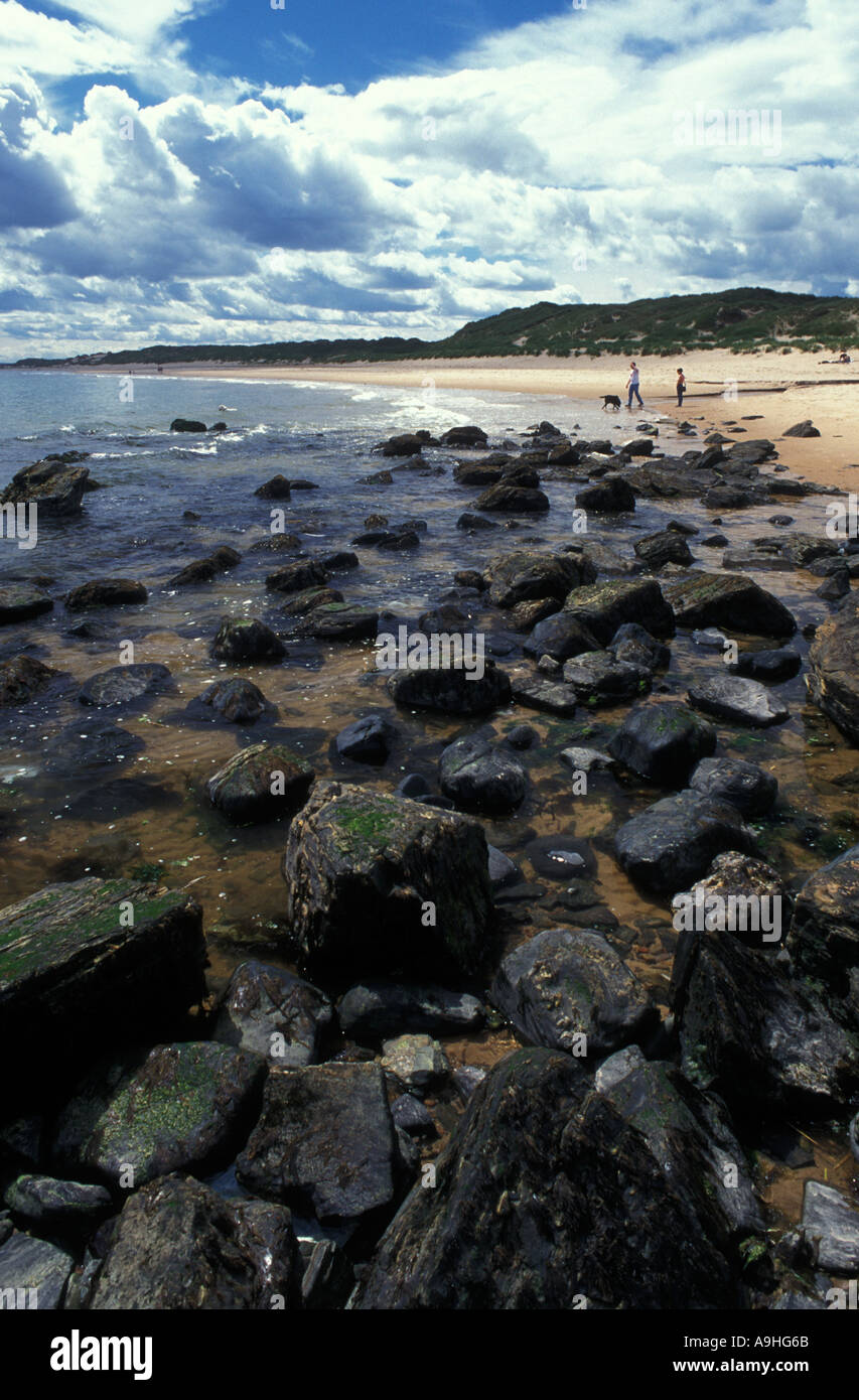 Forvie beach hi-res stock photography and images - Alamy