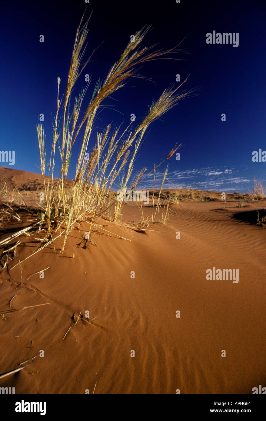 Namibia namib desert graphic hi-res stock photography and images - Alamy