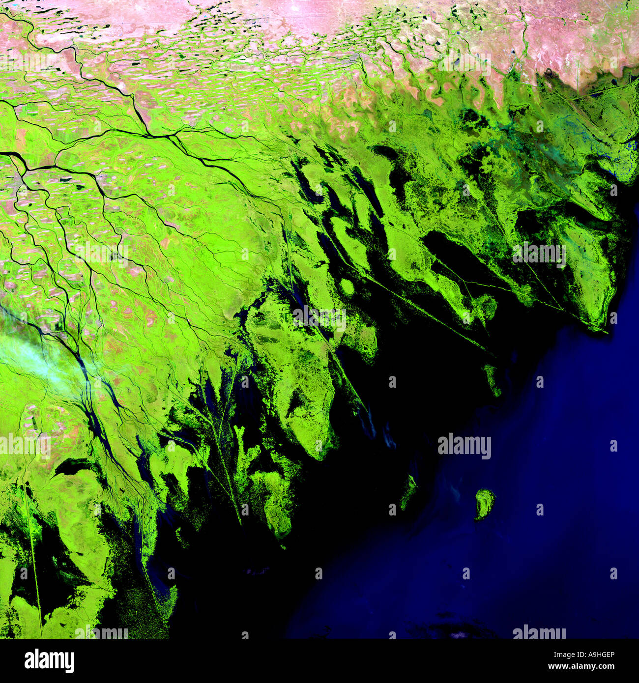 Mapa Mundial Do Rio Volga Os Rios Mais Importantes Do Mundo Estão A