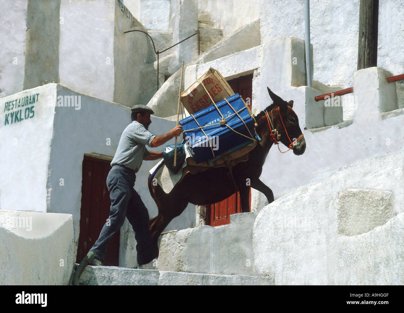 Donkey carrying goods hi-res stock photography and images - Alamy
