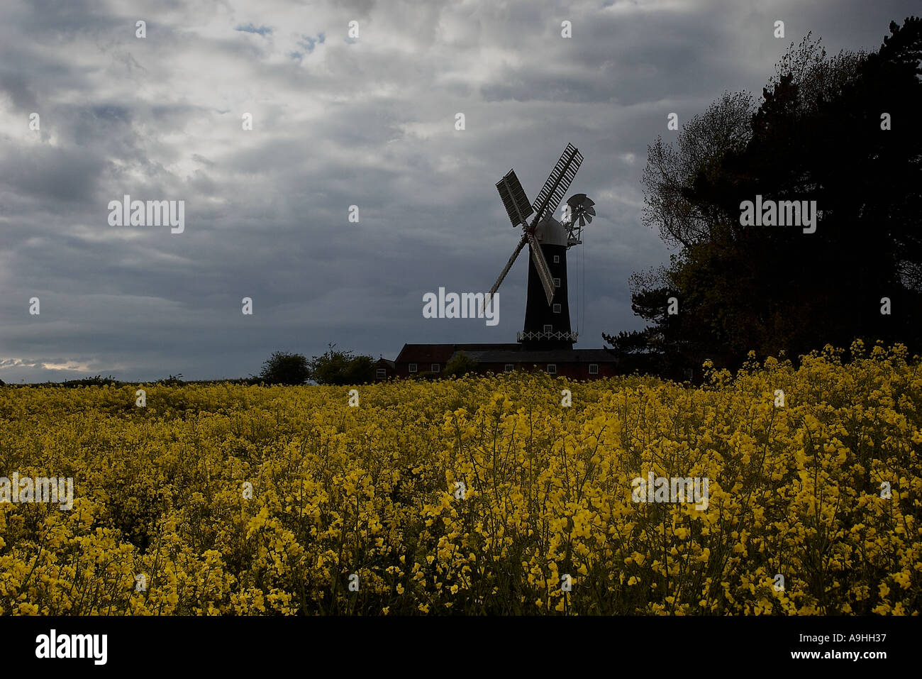 Skidby Windmill East Yorkshire England Stock Photo - Alamy