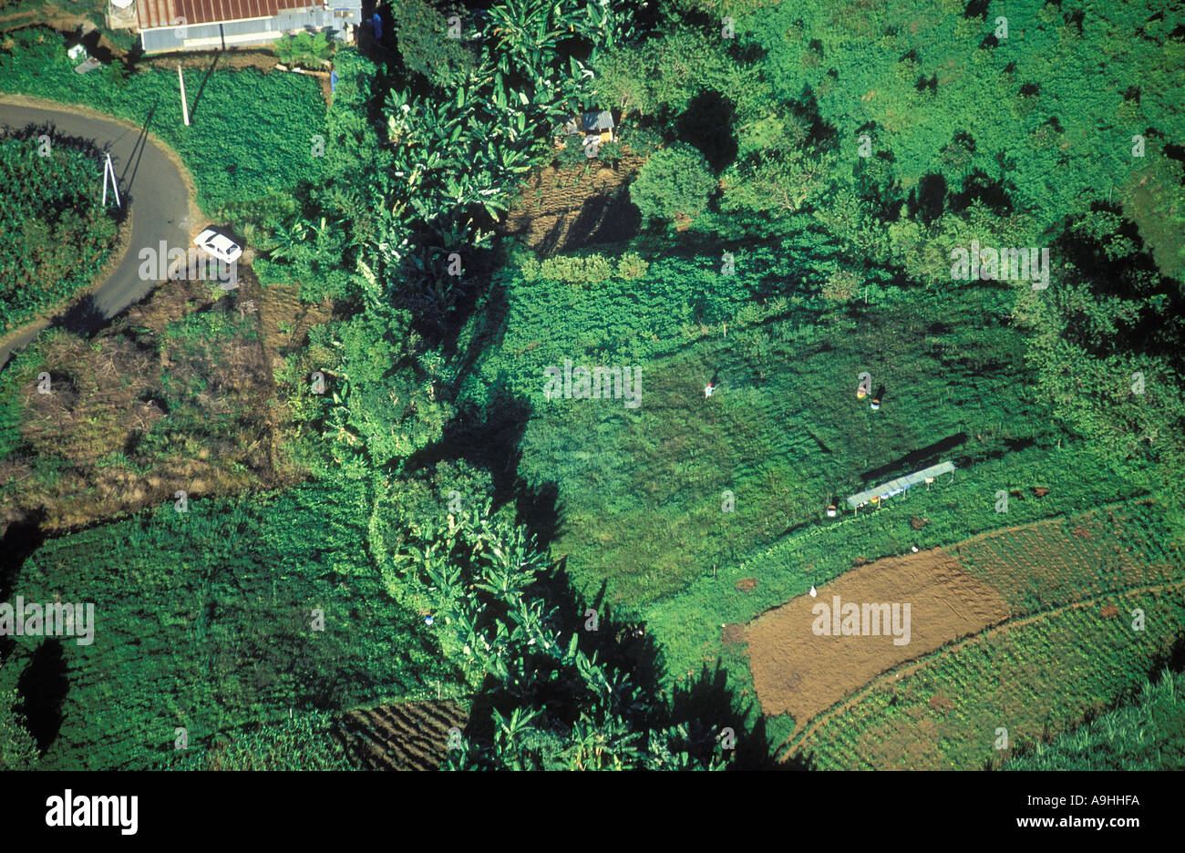 Ariel View St Leu Ile de la Reunion Stock Photo - Alamy