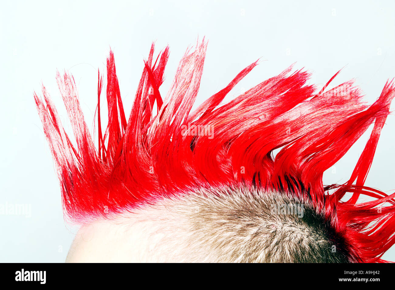Mohican hairstyle hi-res stock photography and images - Alamy