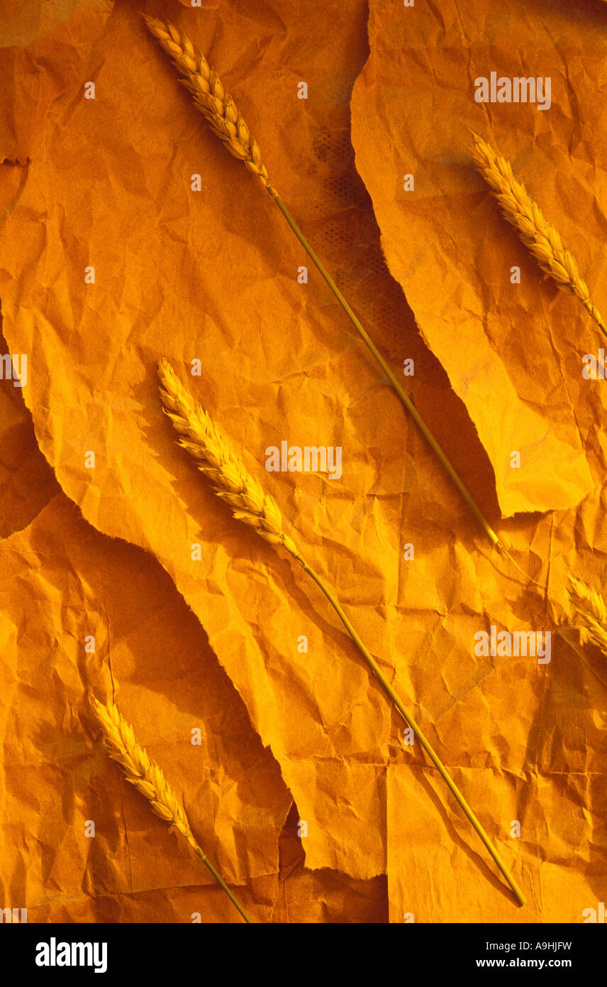 Stalks of wheat laying on a brown paper background Stock Photo - Alamy