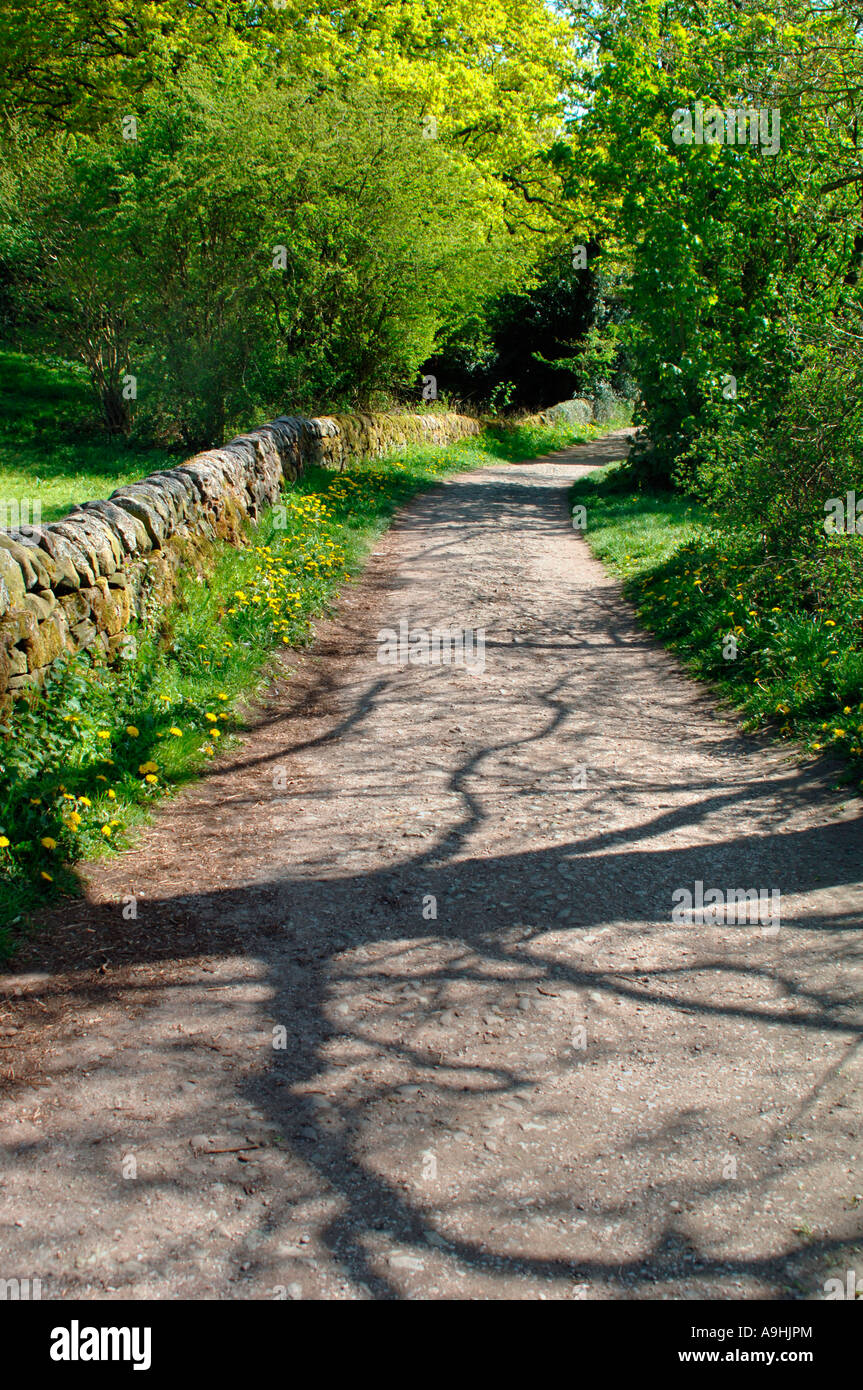 Countryside path hi-res stock photography and images - Alamy