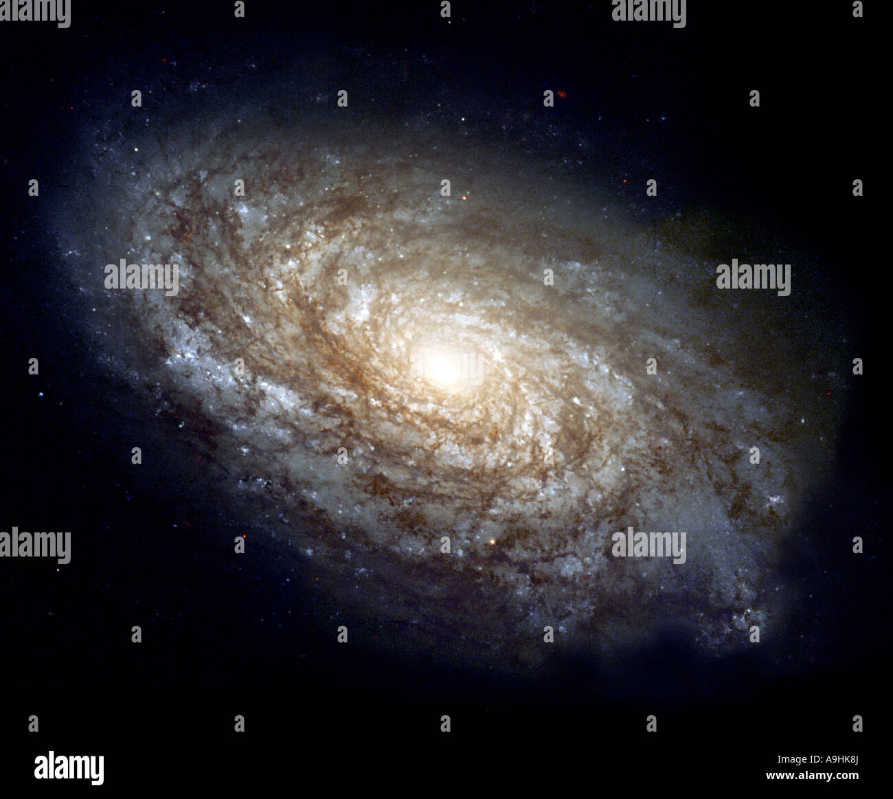 Dusty Spiral Galaxy NGC 4414 from the Hubble Space Telescope Stock Photo - Alamy