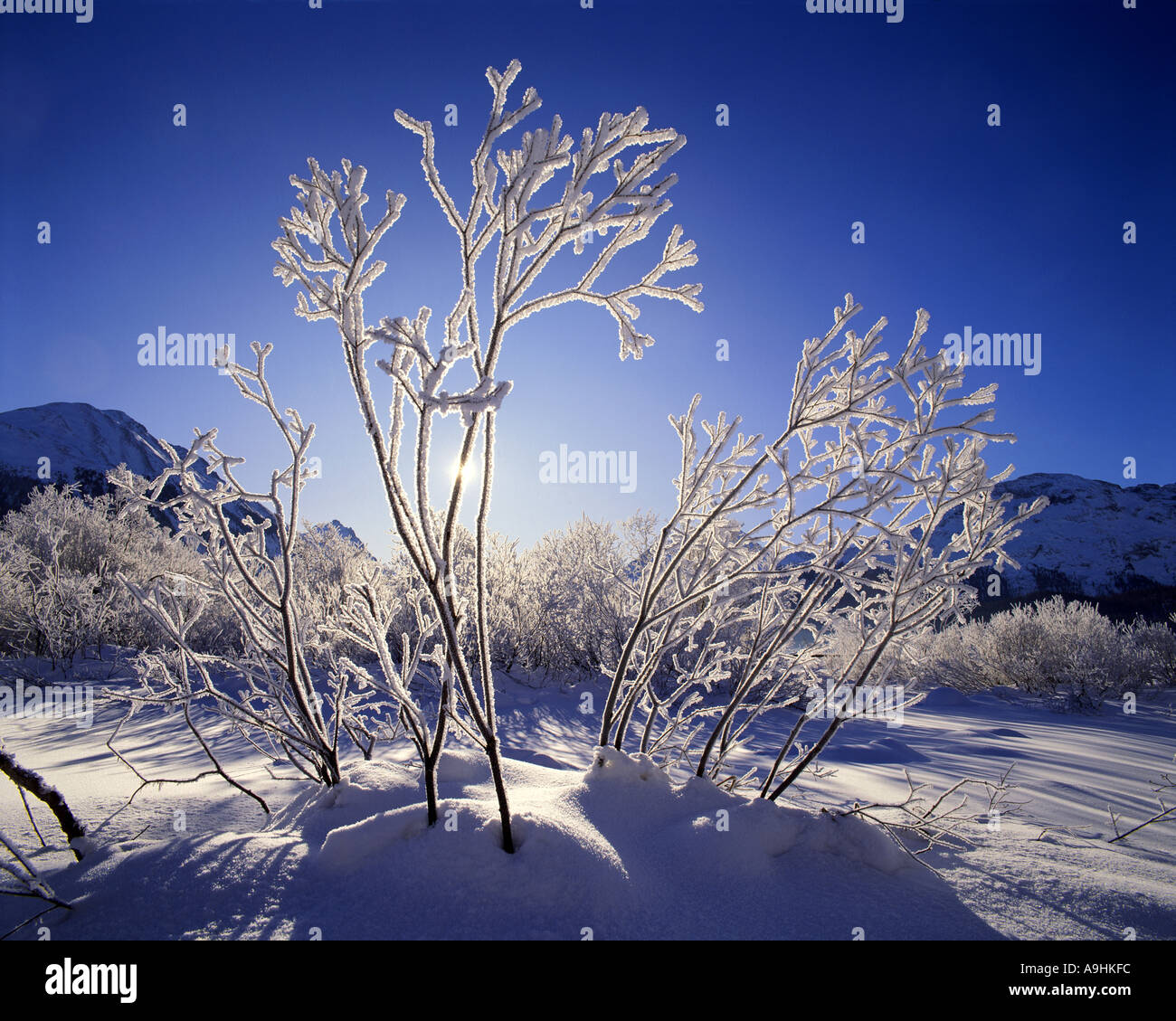 Upper engadin hi-res stock photography and images - Alamy