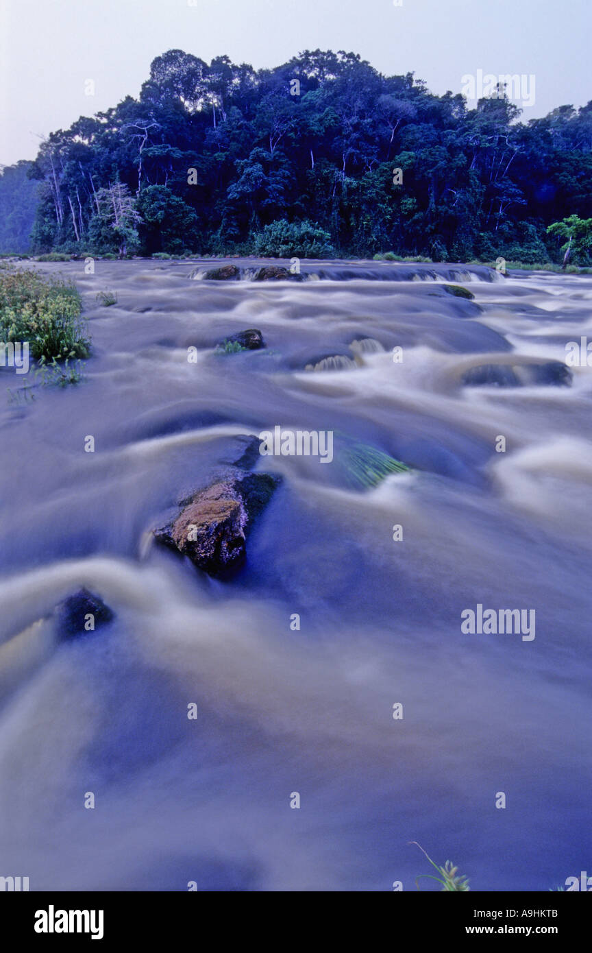 tropical river Dja, Cameroon, Dja river Stock Photo - Alamy