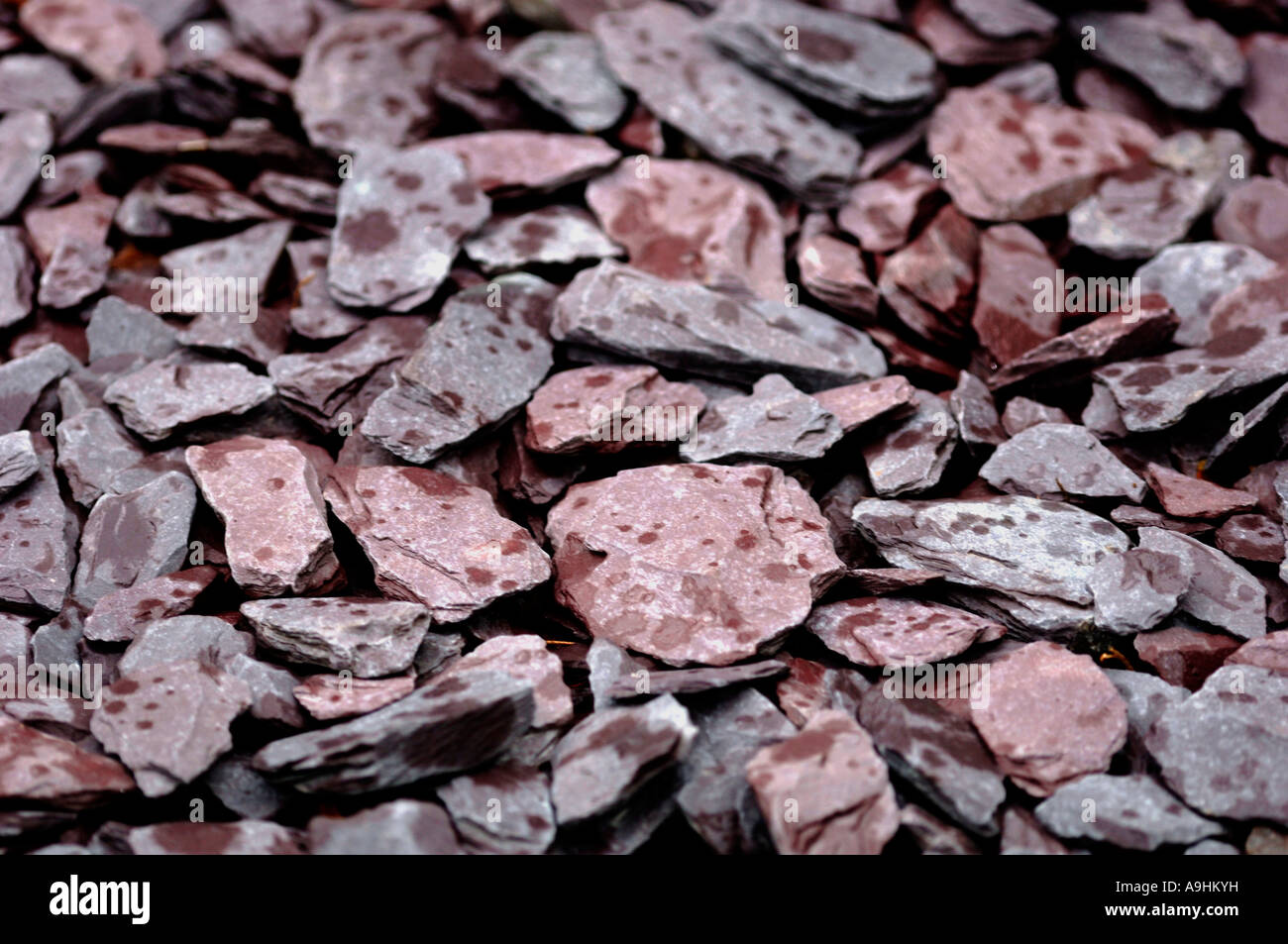Garden Slate Chippings High Resolution Stock Photography and Images - Alamy